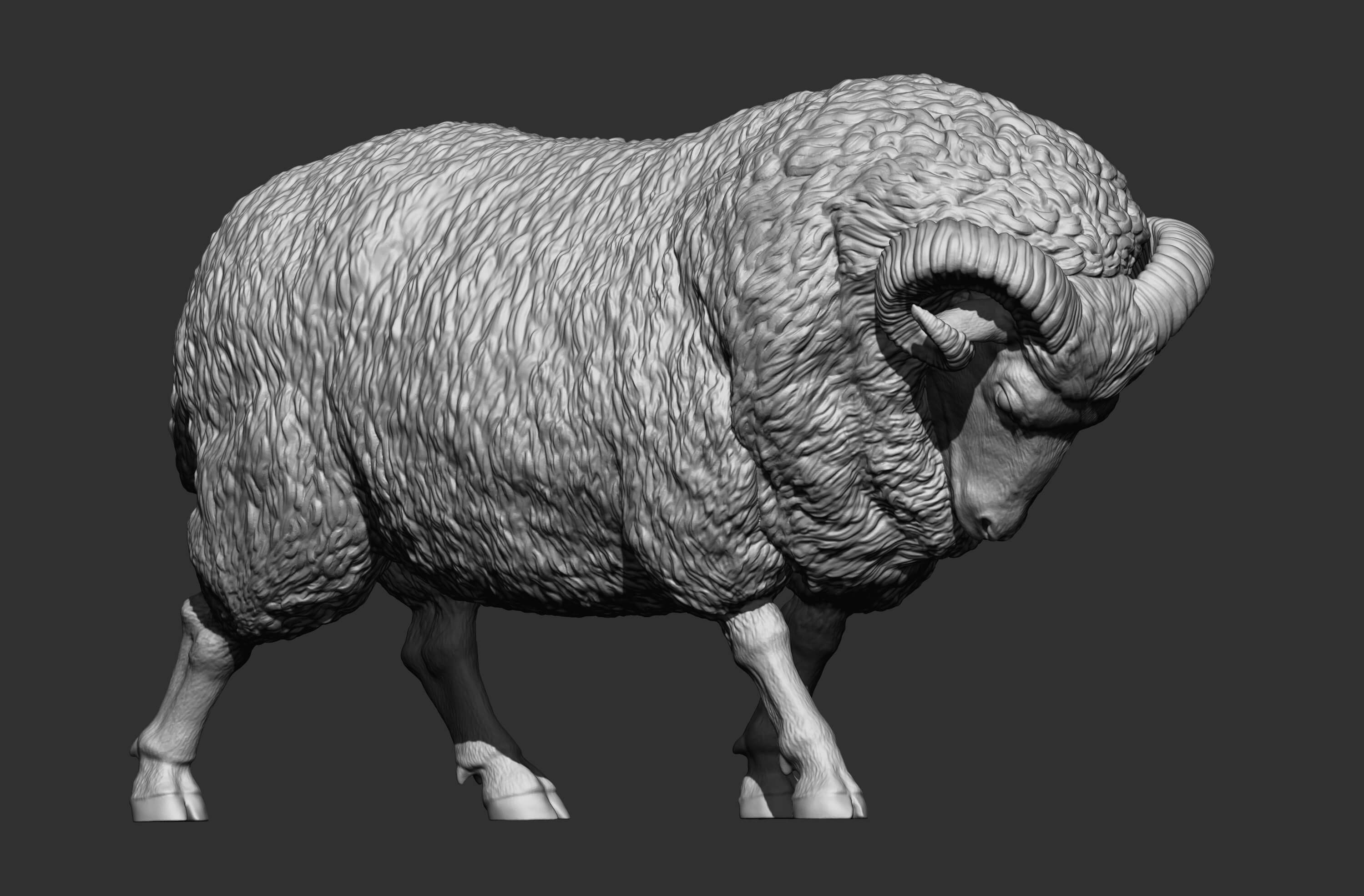 Ram Attacks 3D Print Model by Alexander3dart
