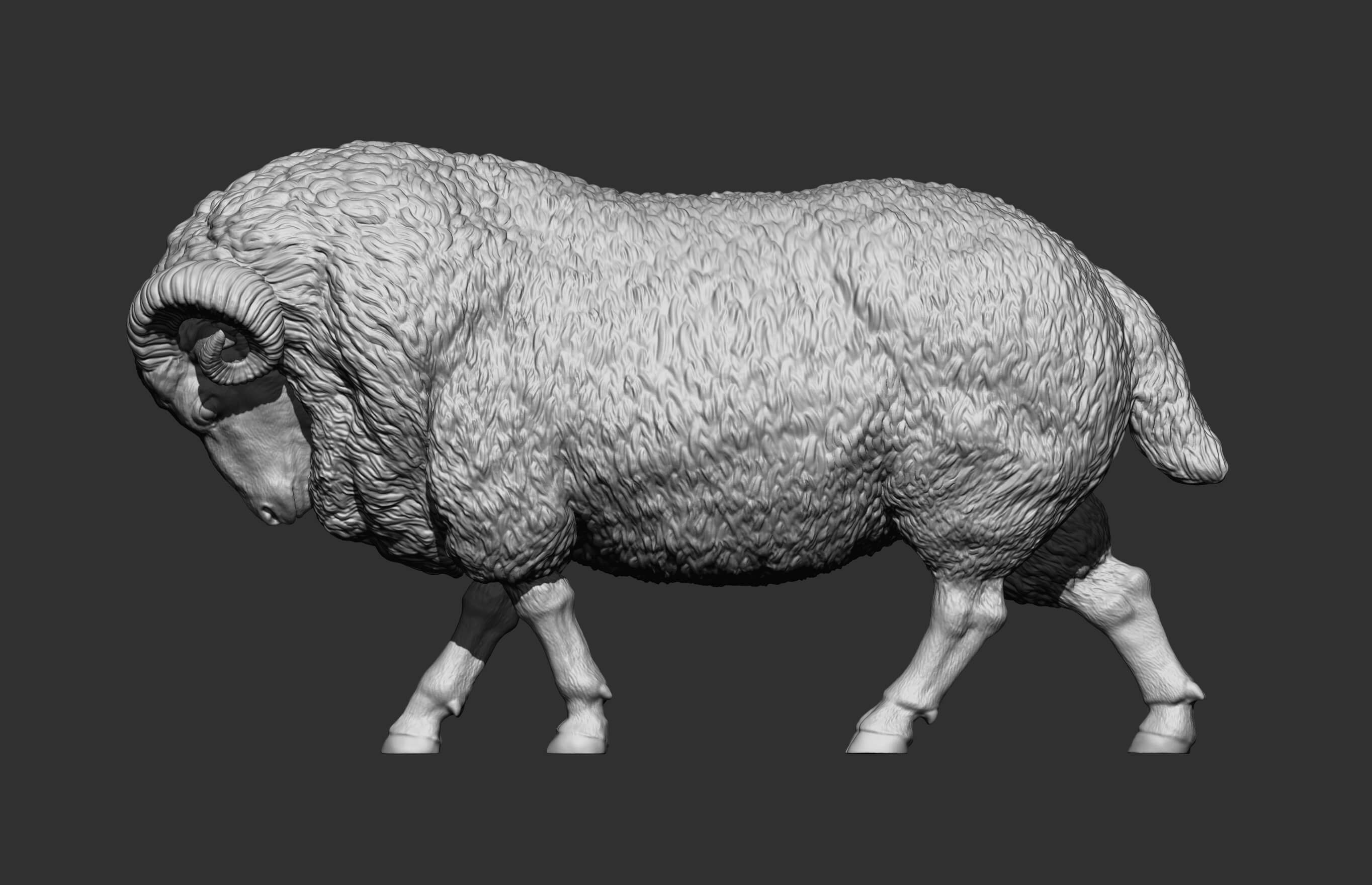Ram Attacks 3D Print Model by Alexander3dart