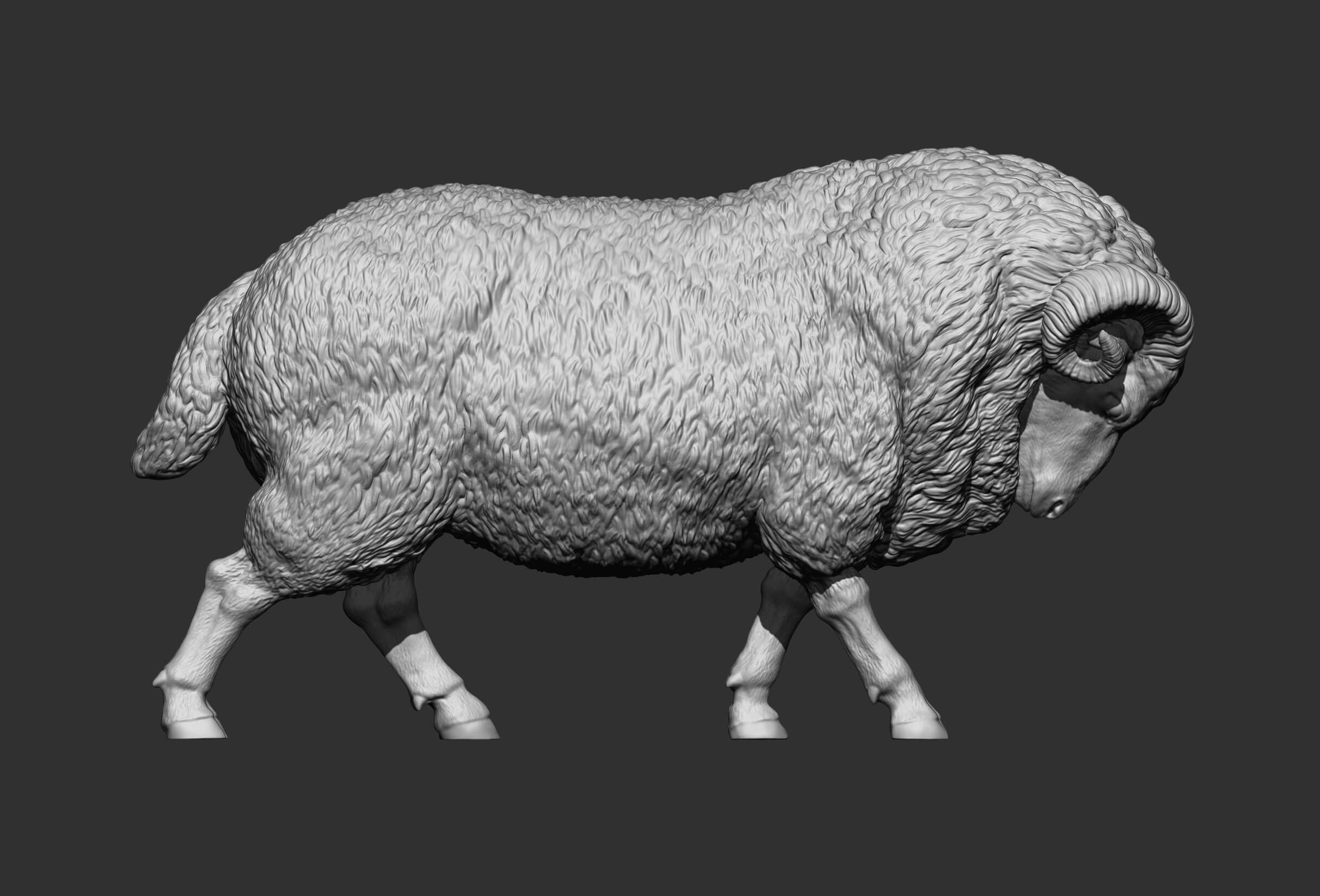 Ram Attacks 3D Print Model by Alexander3dart