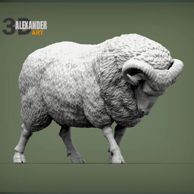 Ram Attacks 3D Print Model by Alexander3dart