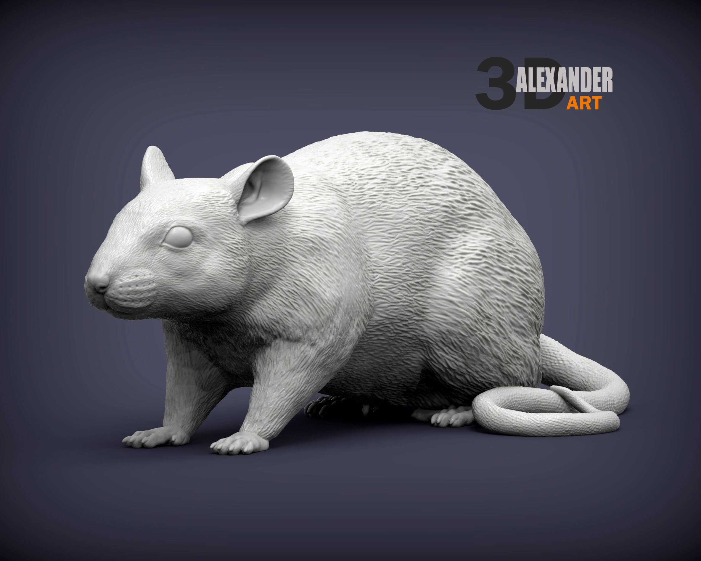 Rat 3D Print Model by Alexander3dart
