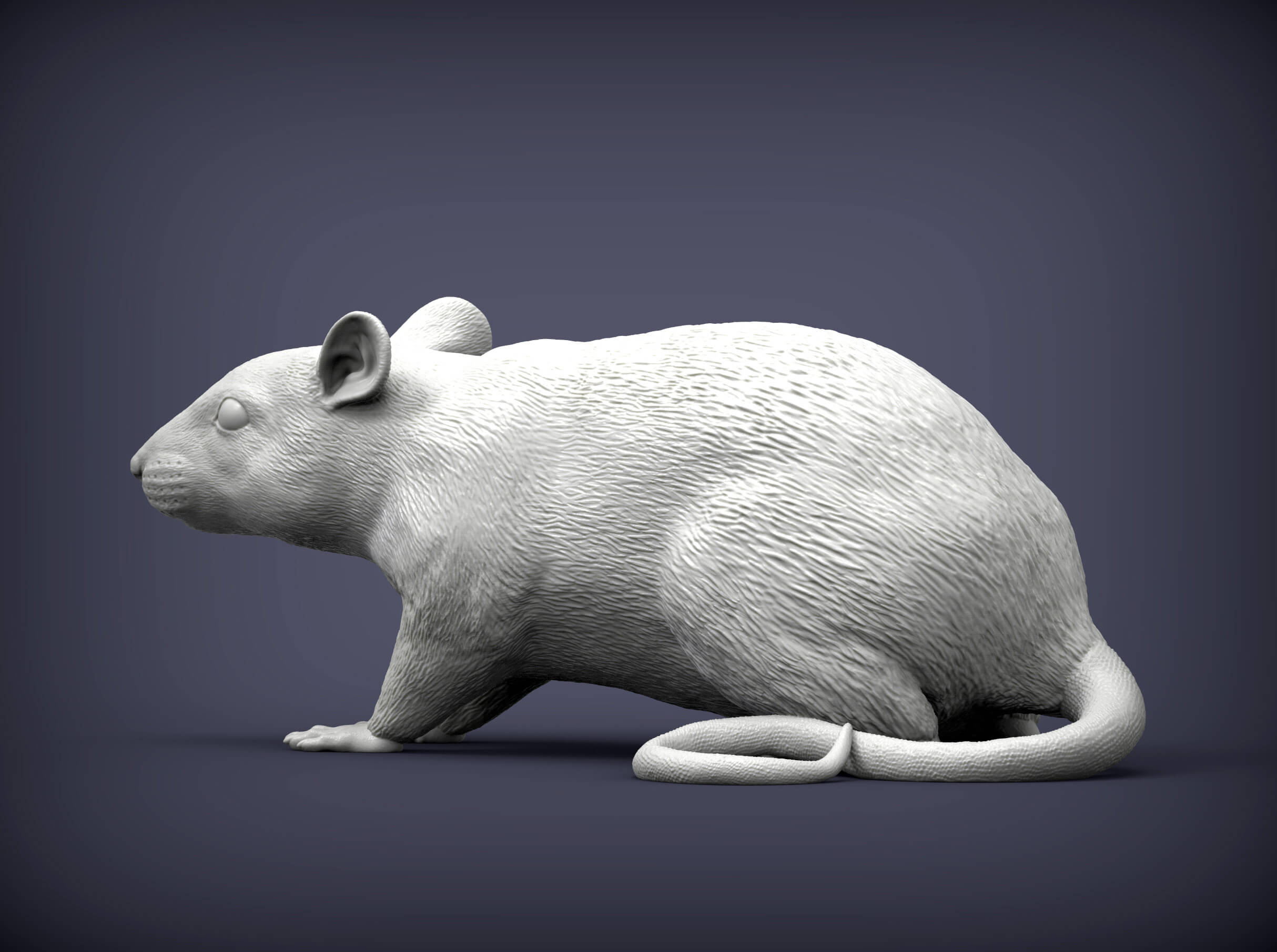 Rat 3D Print Model by Alexander3dart