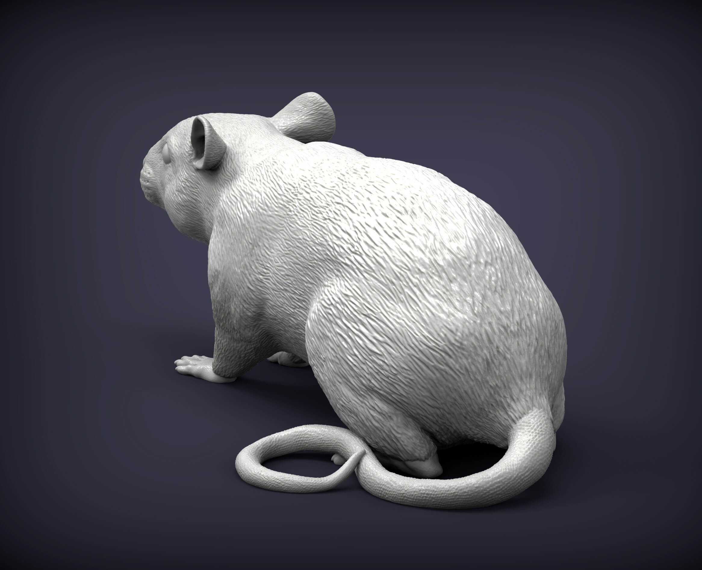 Rat 3D Print Model by Alexander3dart