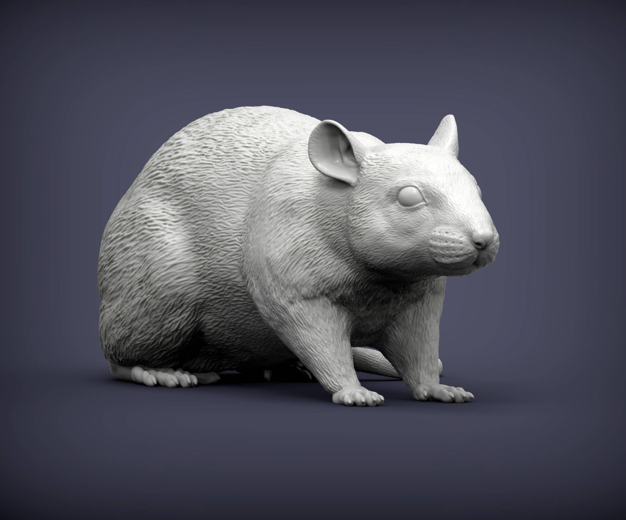 Rat 3D Print Model by Alexander3dart