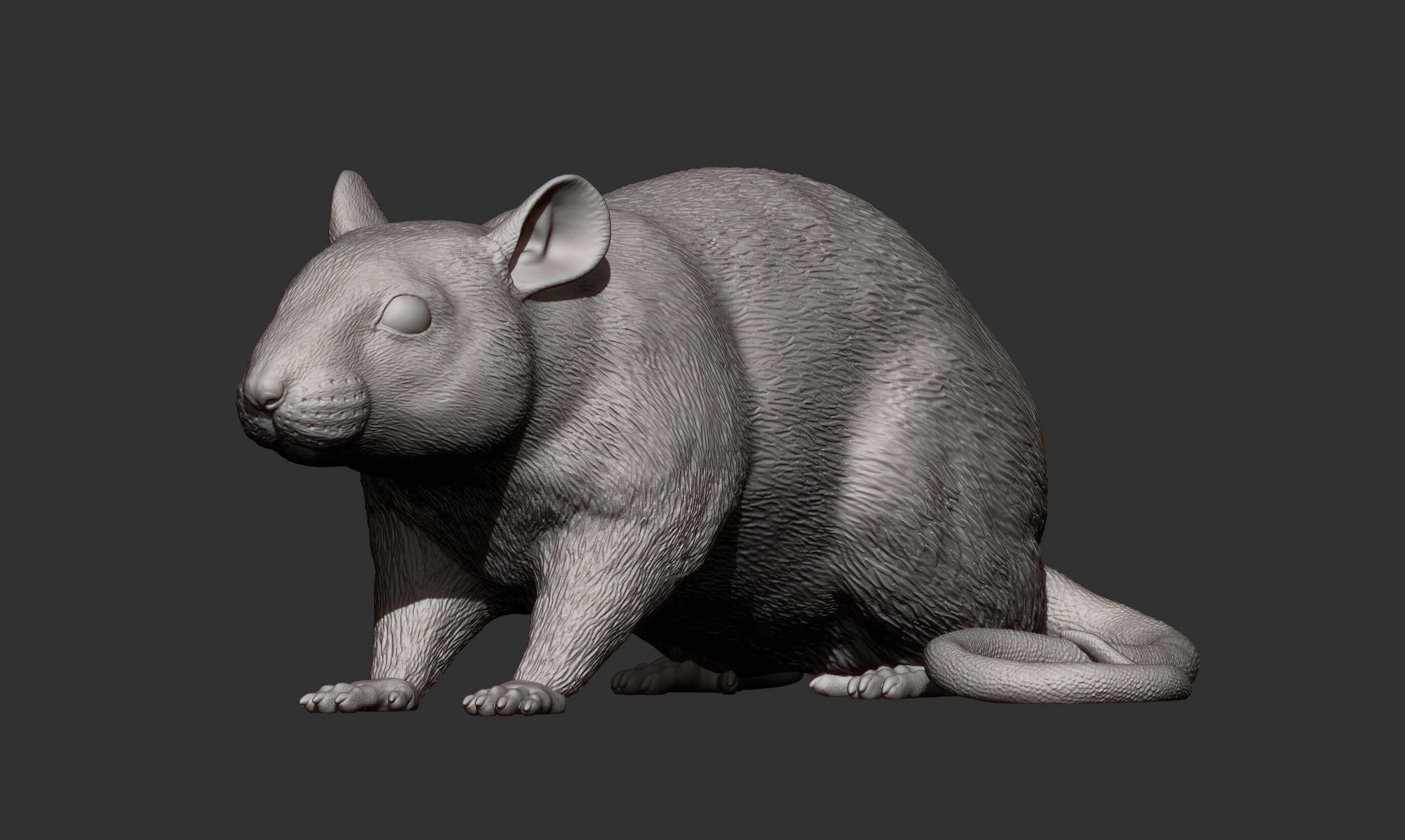 Rat 3D Print Model by Alexander3dart