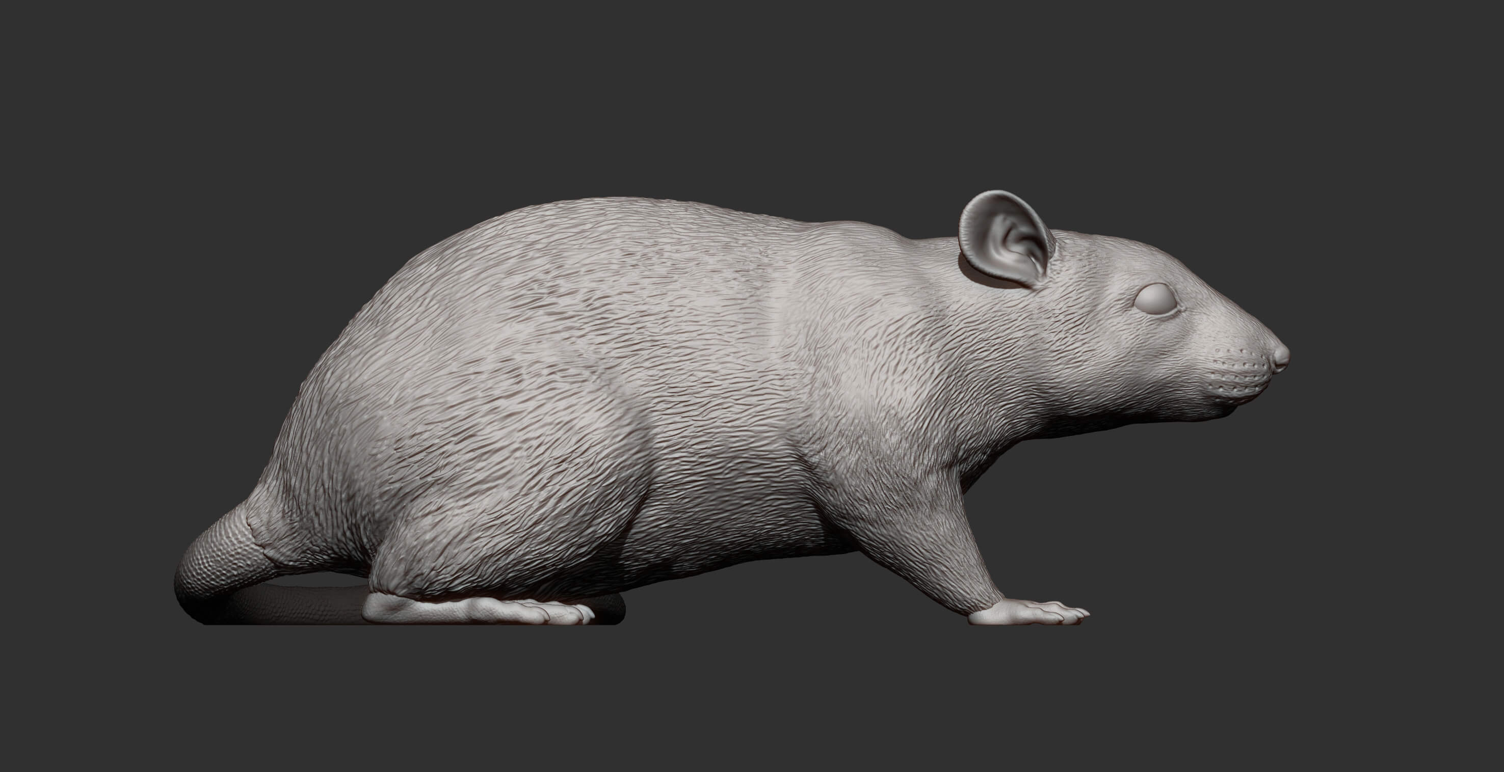 Rat 3D Print Model by Alexander3dart