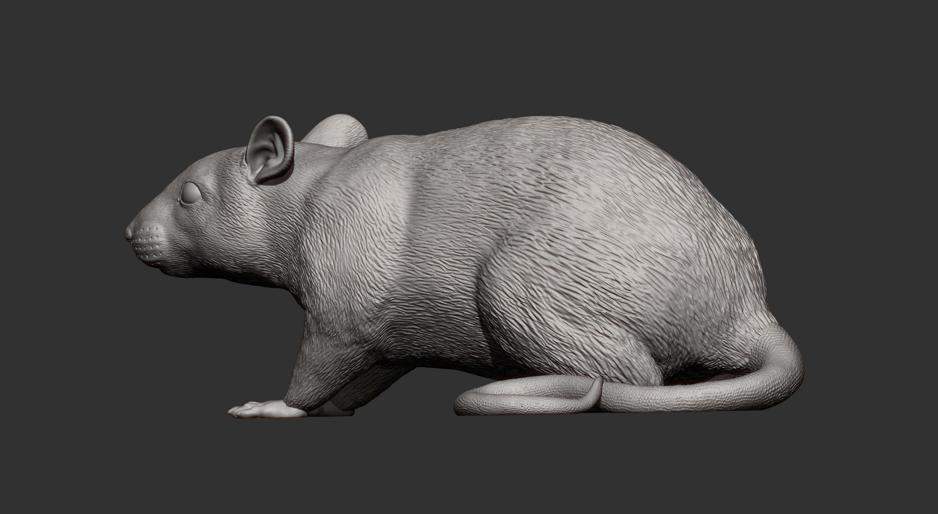 Rat 3D Print Model by Alexander3dart