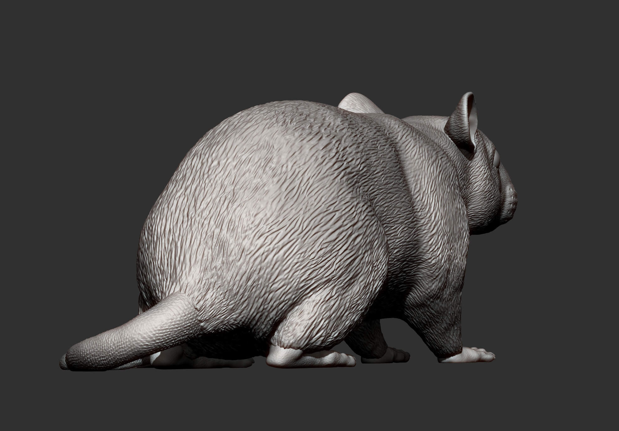 Rat 3D Print Model by Alexander3dart