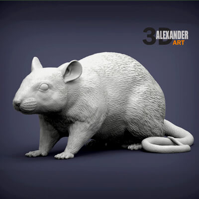 Print Ready 3D Models | Animals | Rats | RenderHub