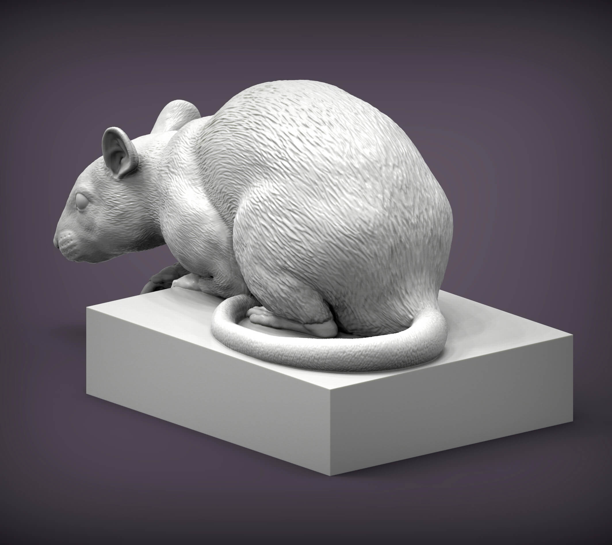 Rat Looking Down 3D Print Model by Alexander3dart