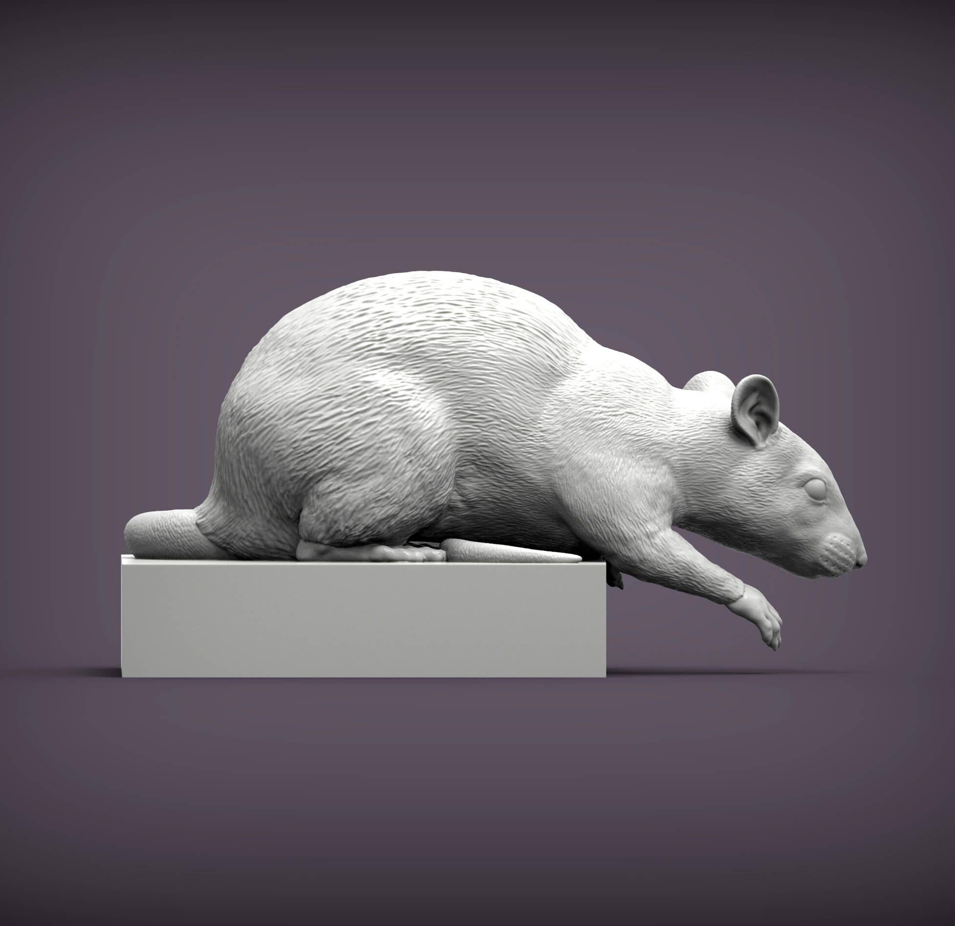 Rat Looking Down 3D Print Model by Alexander3dart