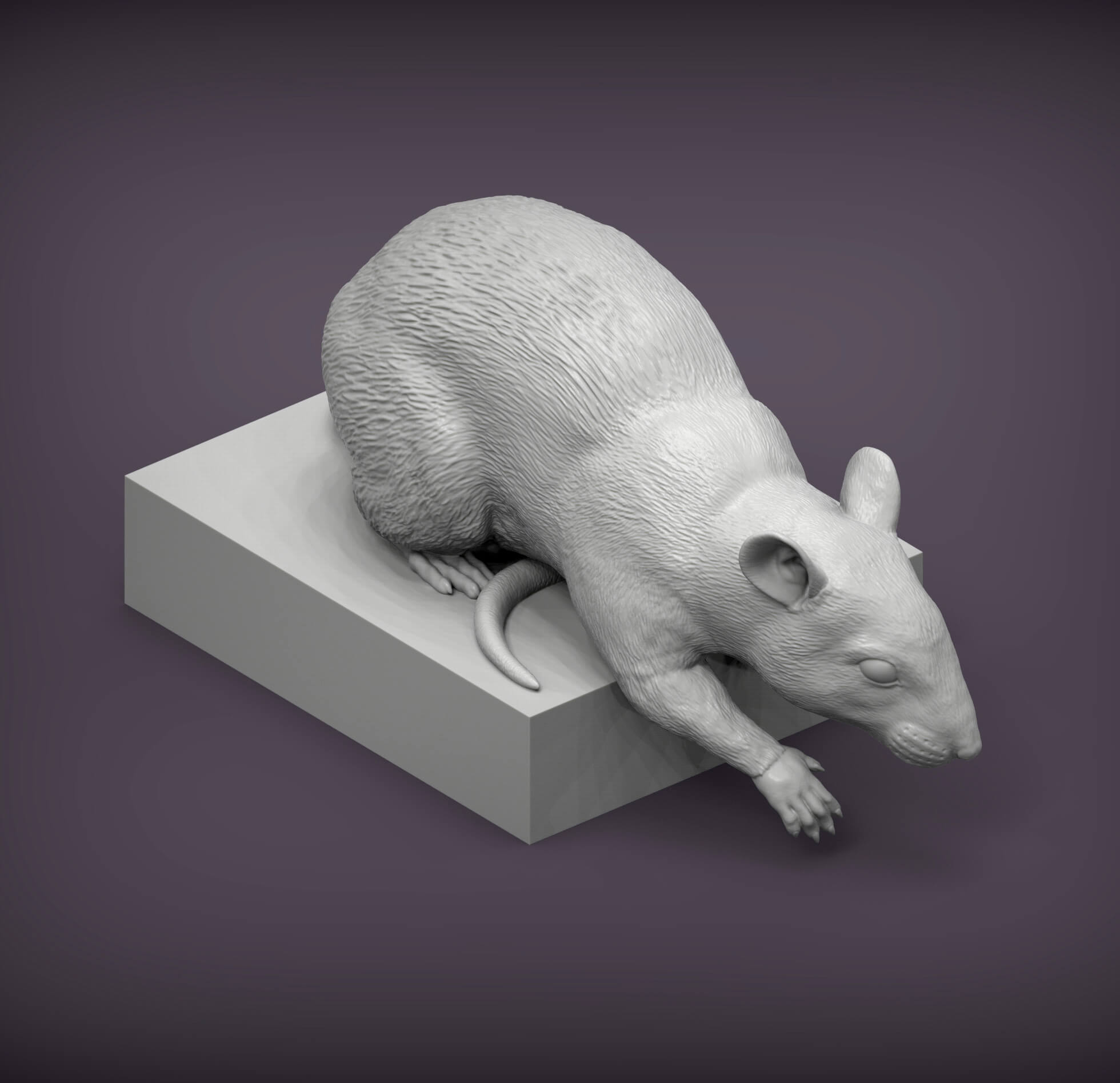 Rat Looking Down 3D Print Model by Alexander3dart