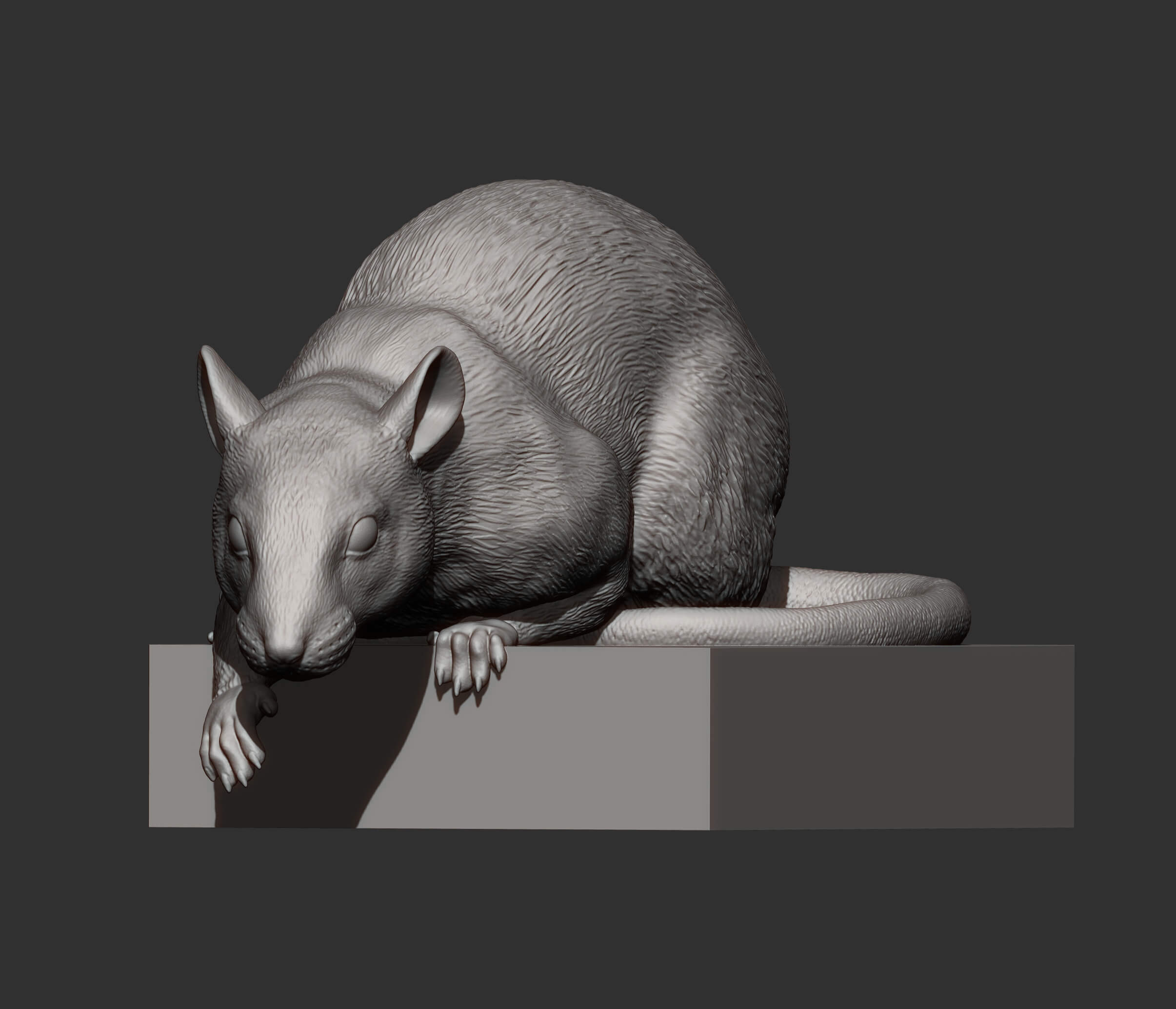 Rat Looking Down 3D Print Model by Alexander3dart