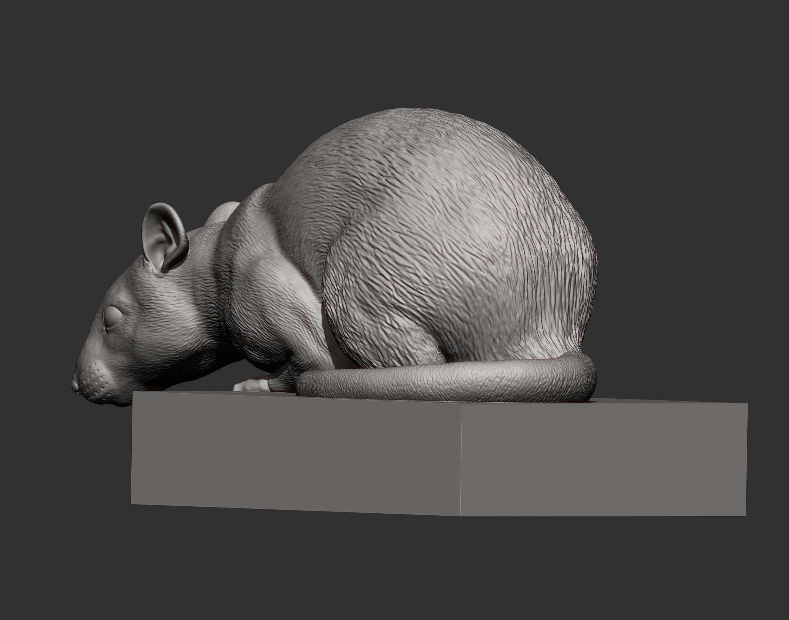 Rat Looking Down 3D Print Model by Alexander3dart