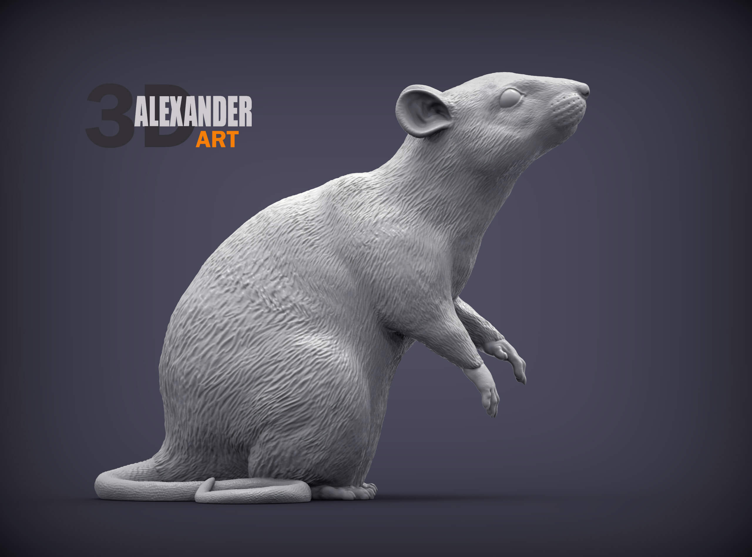 Rat on Hind Legs 3D Print Model by Alexander3dart