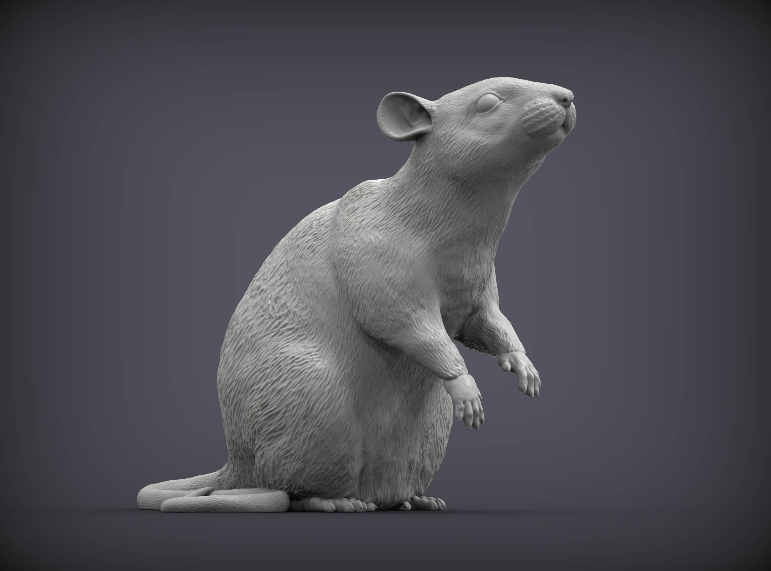 Rat on Hind Legs 3D Print Model by Alexander3dart