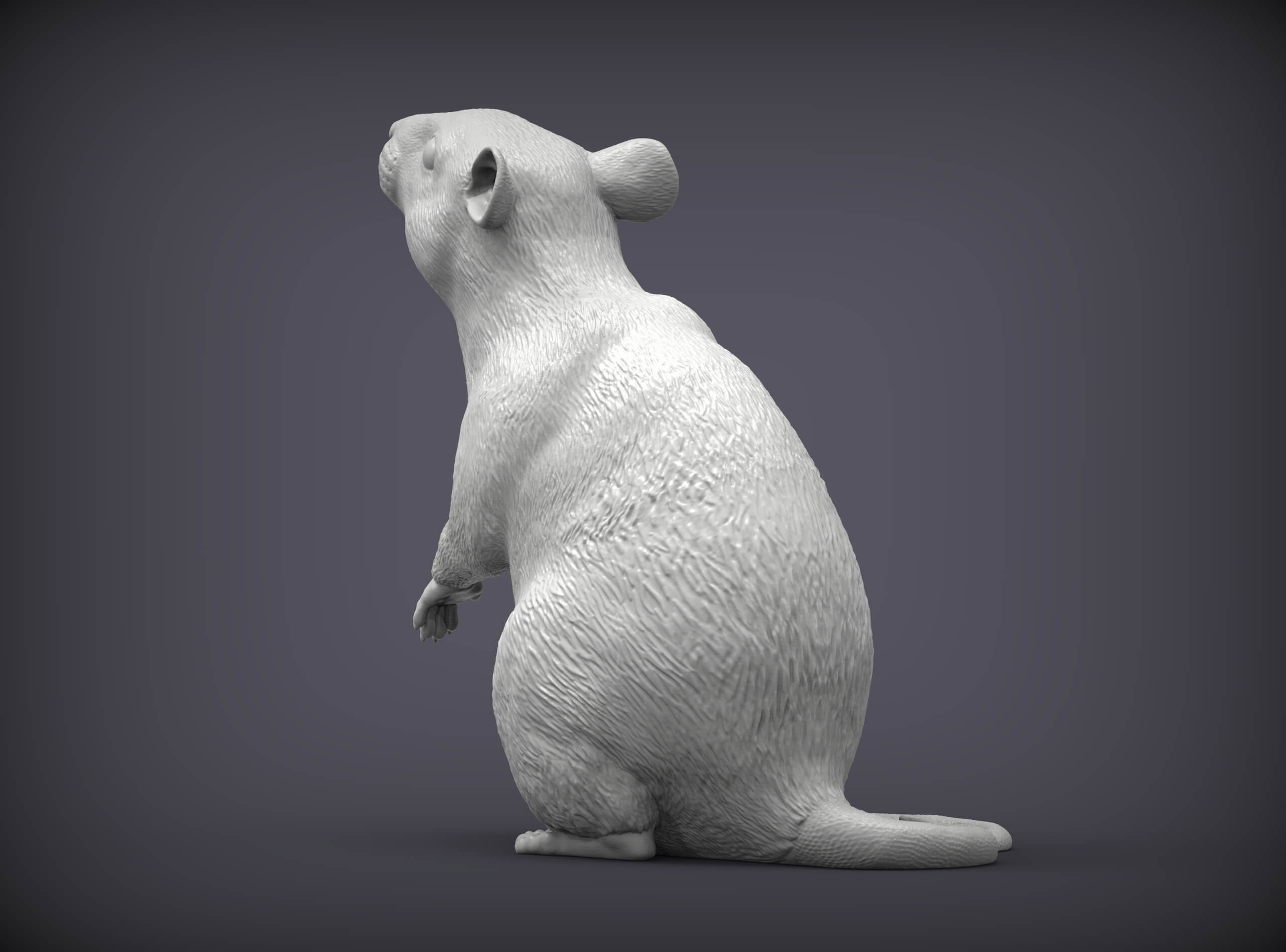 Rat on Hind Legs 3D Print Model by Alexander3dart