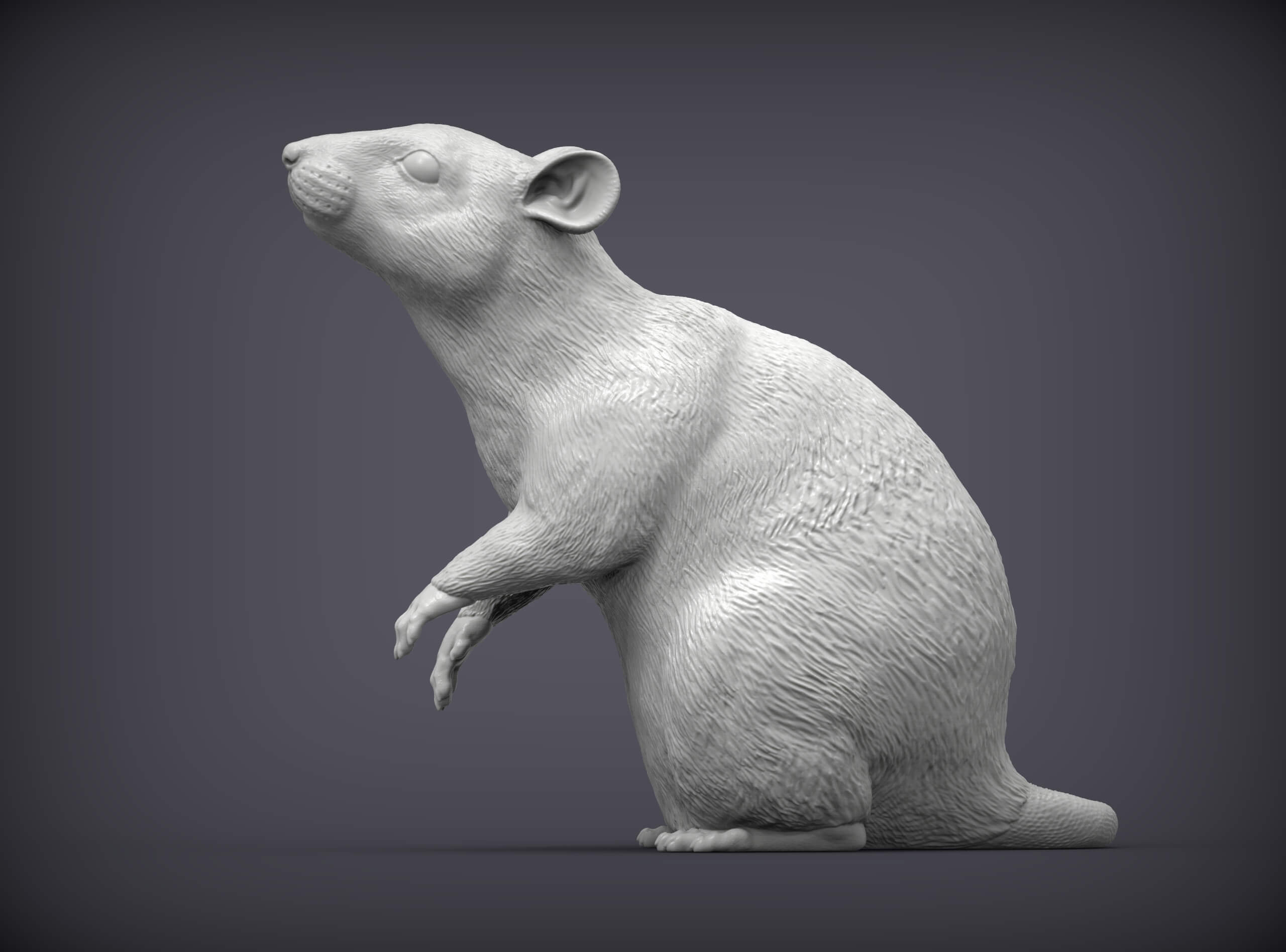 Rat on Hind Legs 3D Print Model by Alexander3dart