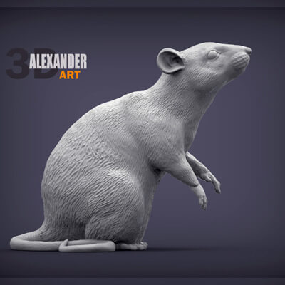 Rat on Hind Legs 3D Print Model by Alexander3dart