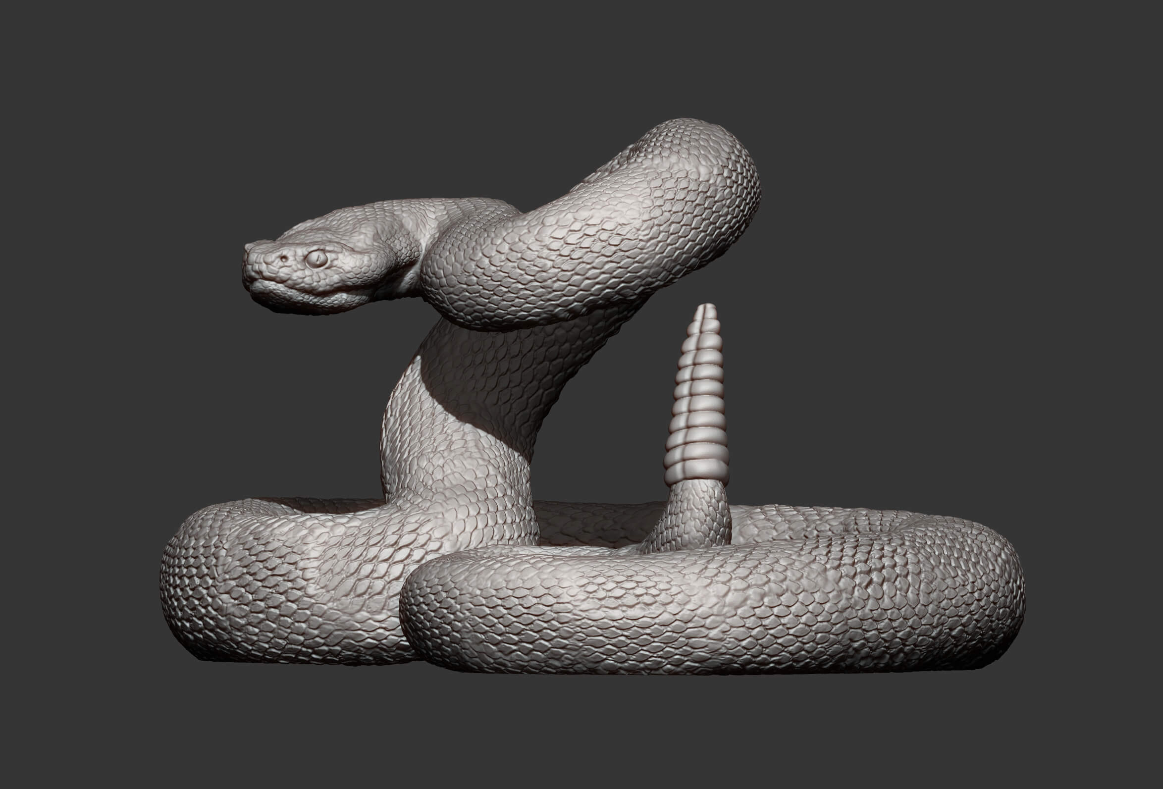 Rattlesnake Snake - 3D Model by Alexander3dart