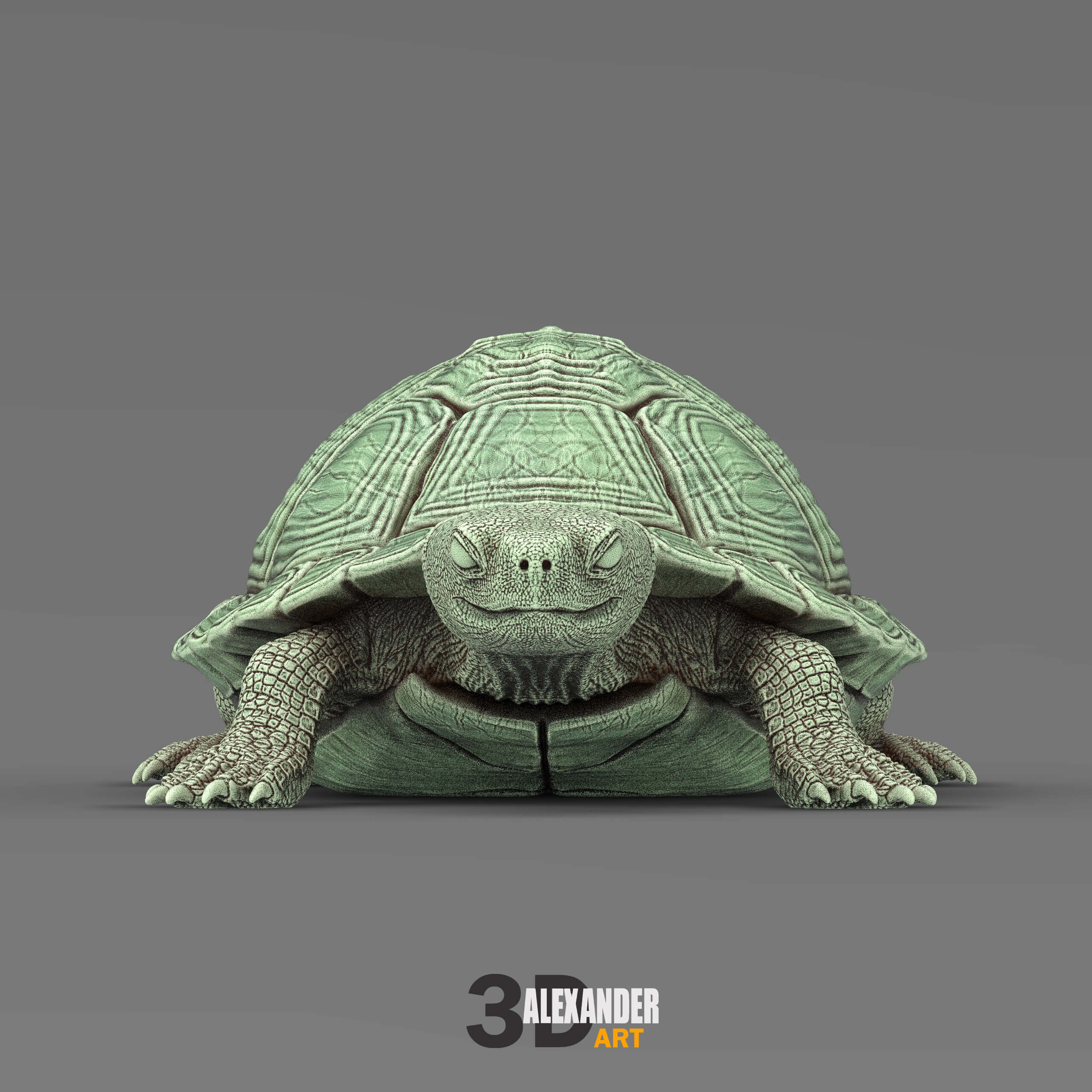 Red-Eared Slider Turtle 3D Model by Alexander3dart