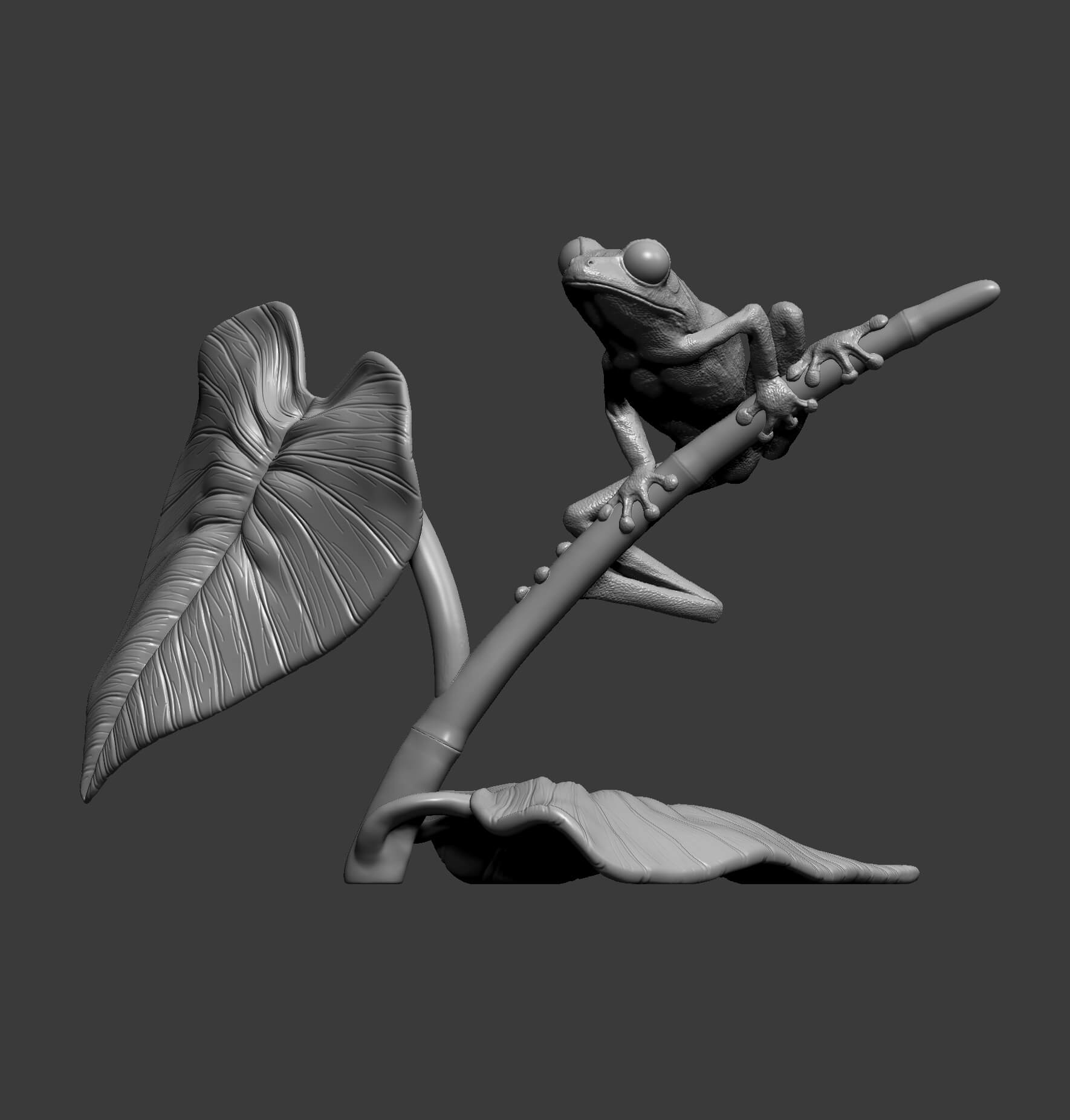 Red-Eyed Tree Frog on a Twig 3D Model by Alexander3dart