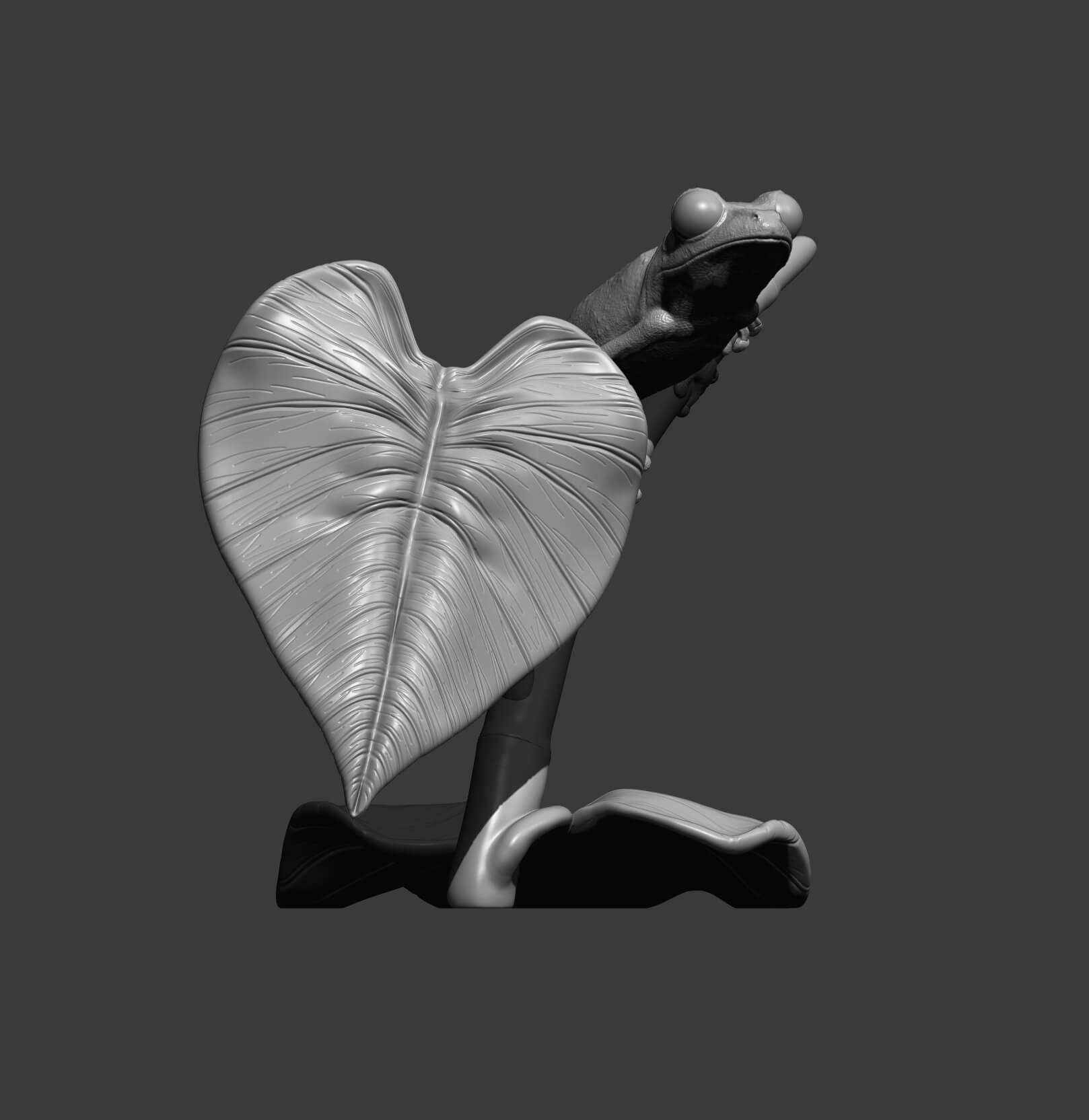 Red-Eyed Tree Frog on a Twig 3D Model by Alexander3dart