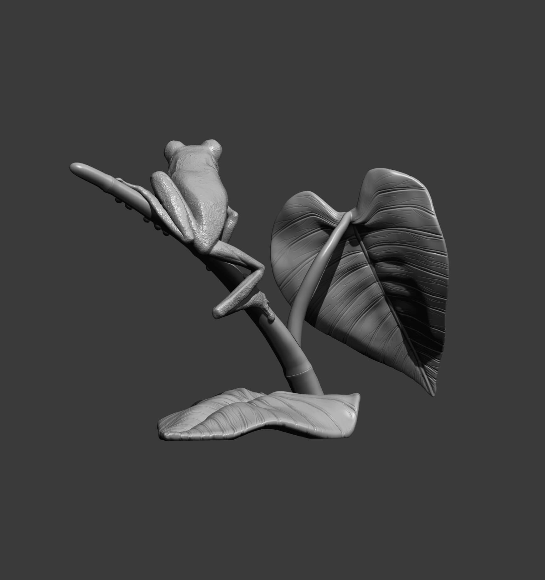 Red-Eyed Tree Frog on a Twig 3D Model by Alexander3dart