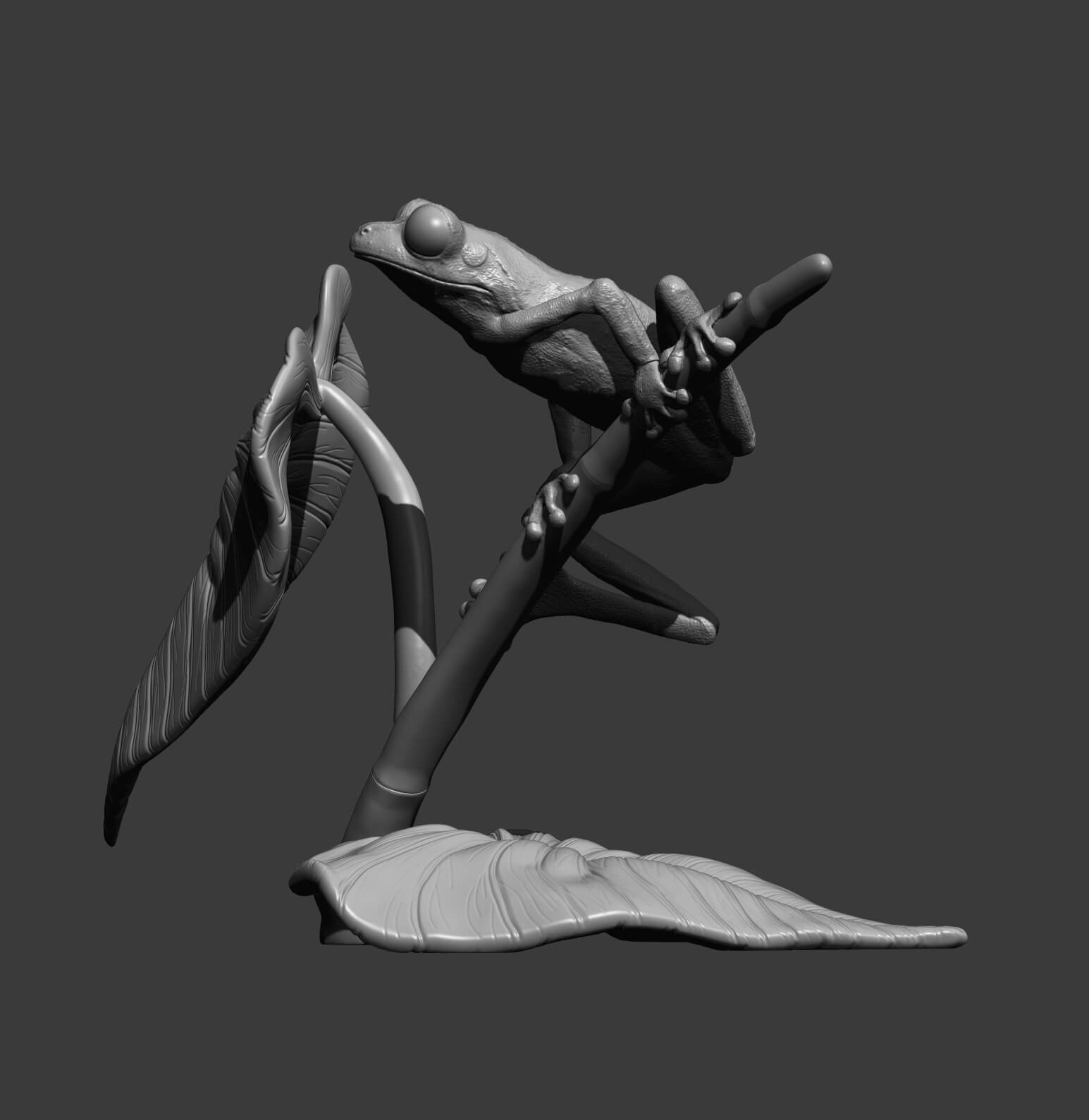 Red-Eyed Tree Frog on a Twig 3D Model by Alexander3dart