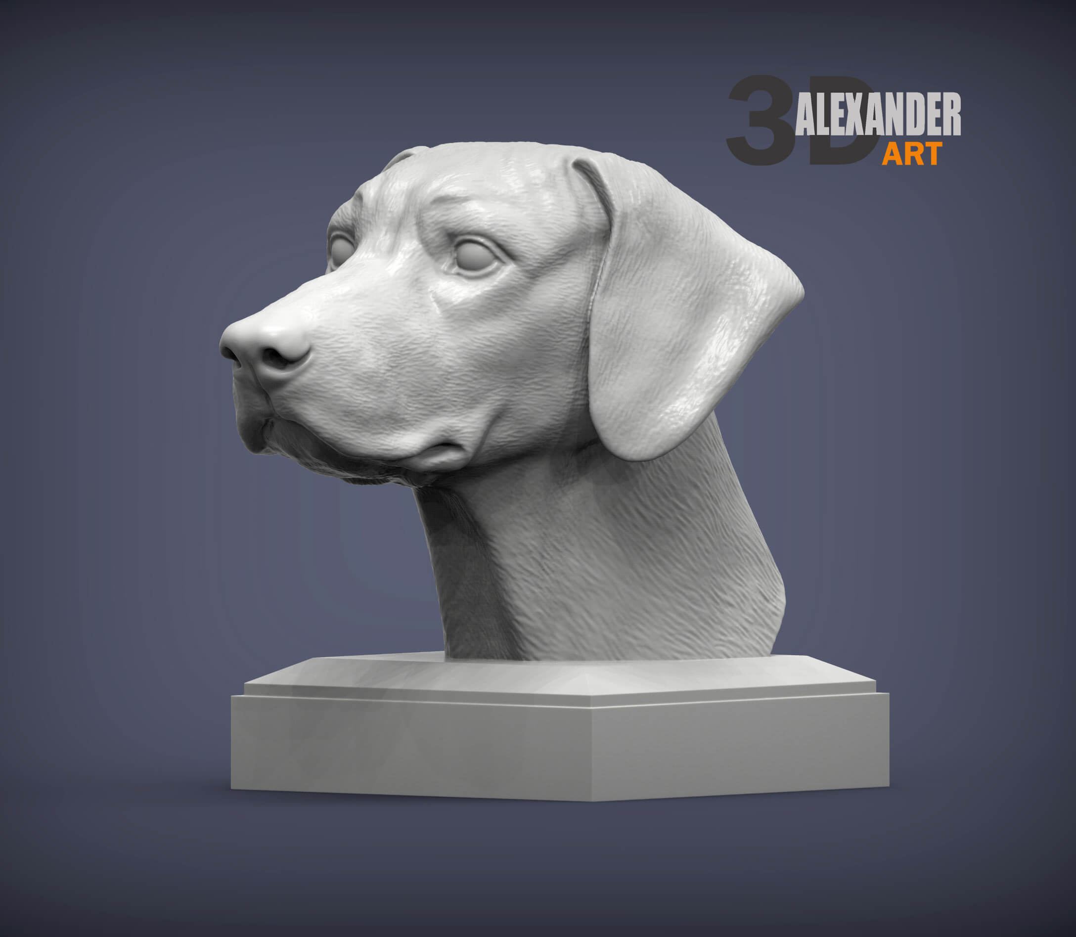 Rhodesian Ridgeback Bust - 3D Model by Alexander3dart