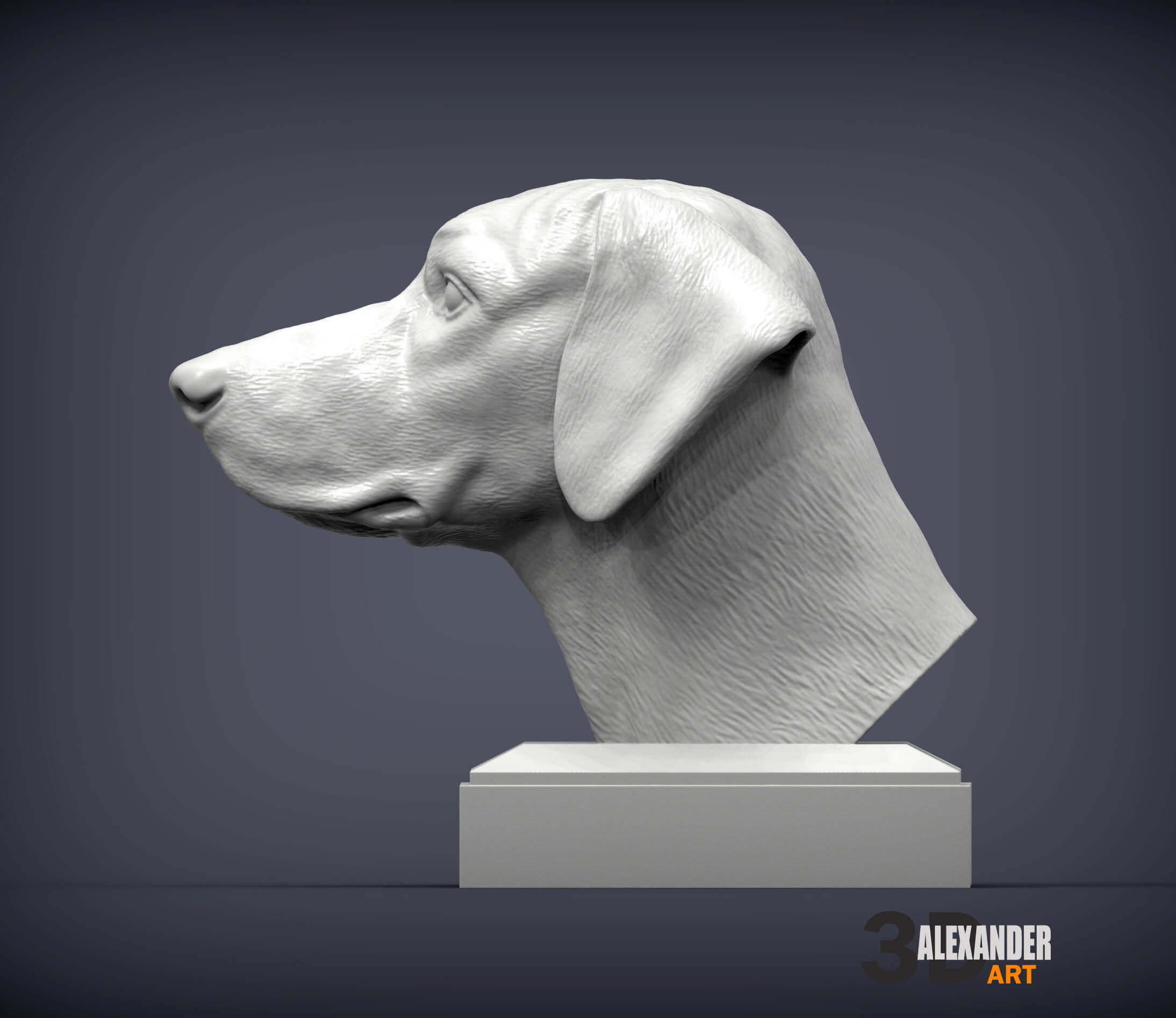 Rhodesian Ridgeback Bust - 3D Model by Alexander3dart