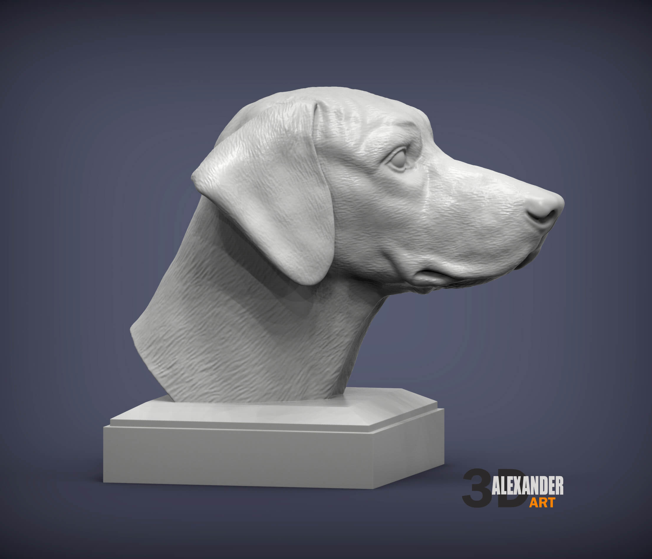 Rhodesian Ridgeback Bust - 3D Model by Alexander3dart