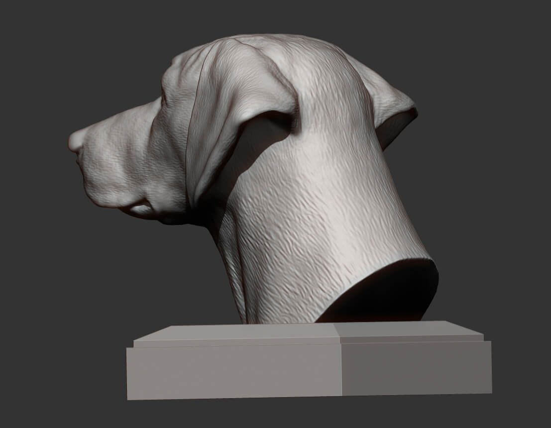 Rhodesian Ridgeback Bust - 3D Model by Alexander3dart