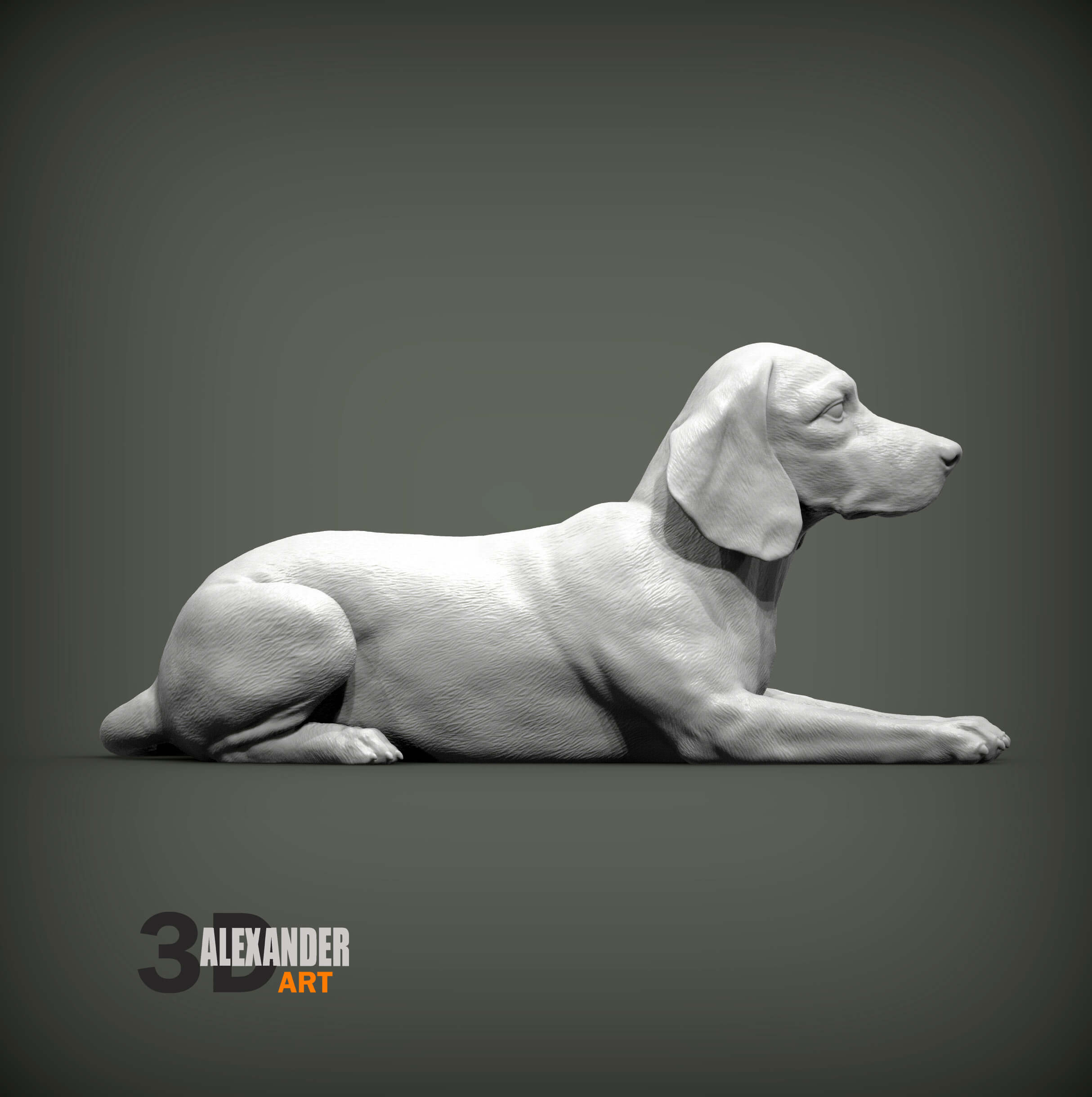 Beagle Is Lying Down - 3D Model by Alexander3dart
