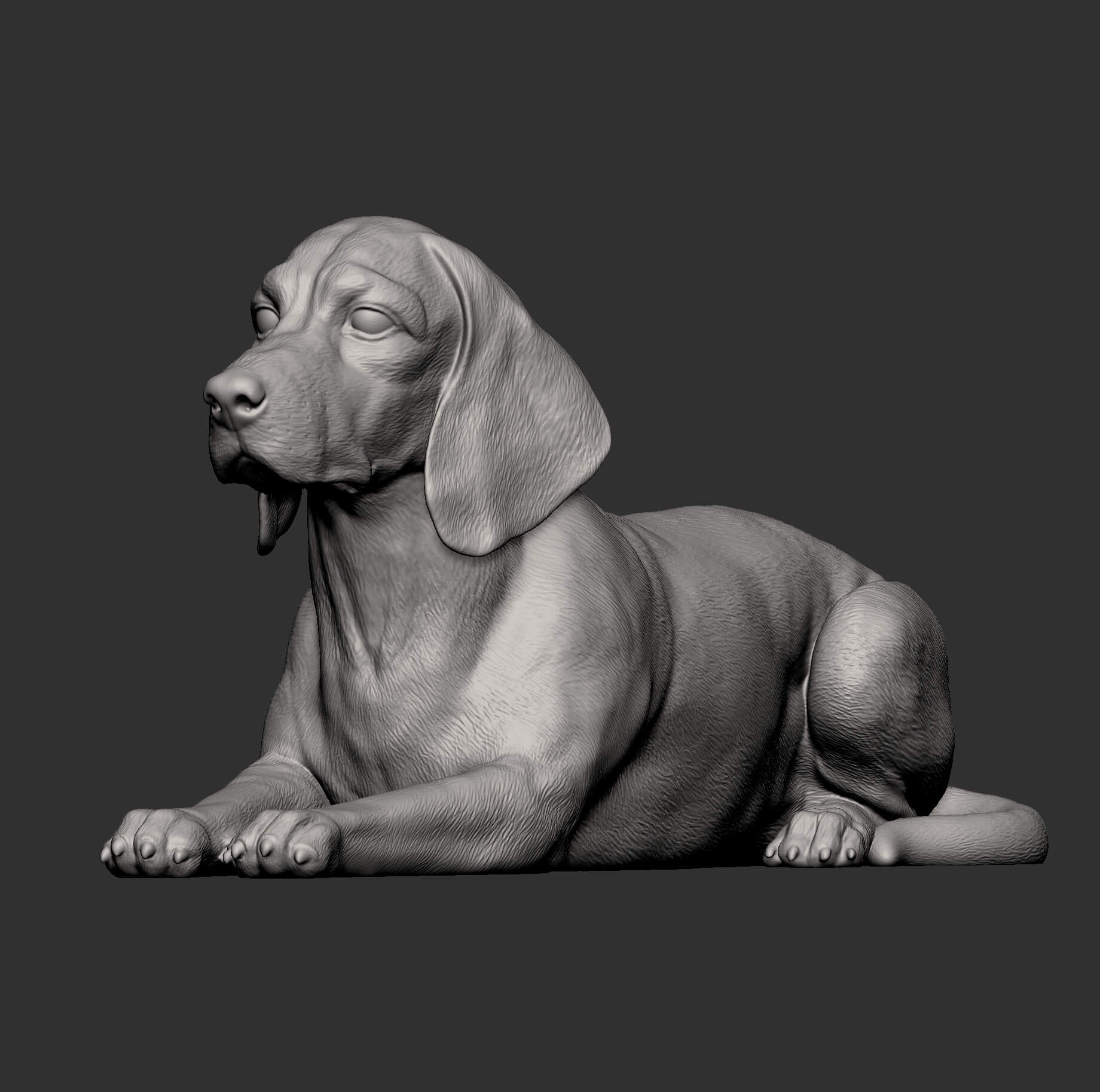 Beagle Is Lying Down - 3D Model by Alexander3dart