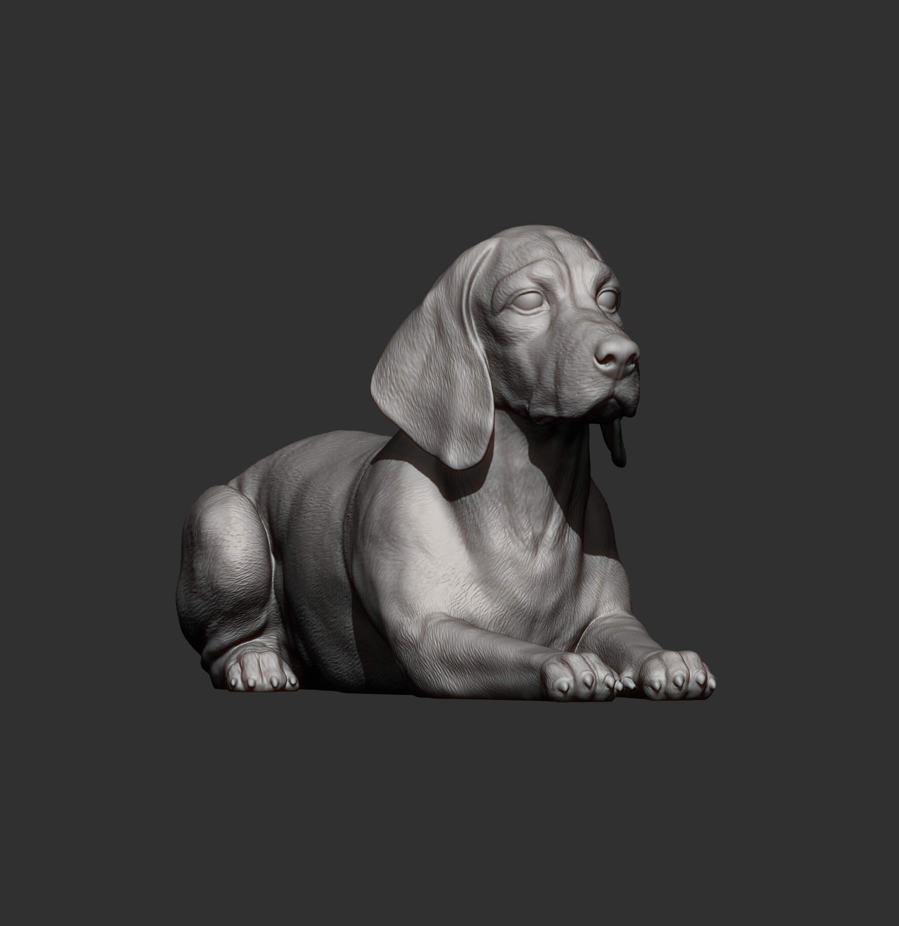 Beagle Is Lying Down - 3D Model by Alexander3dart