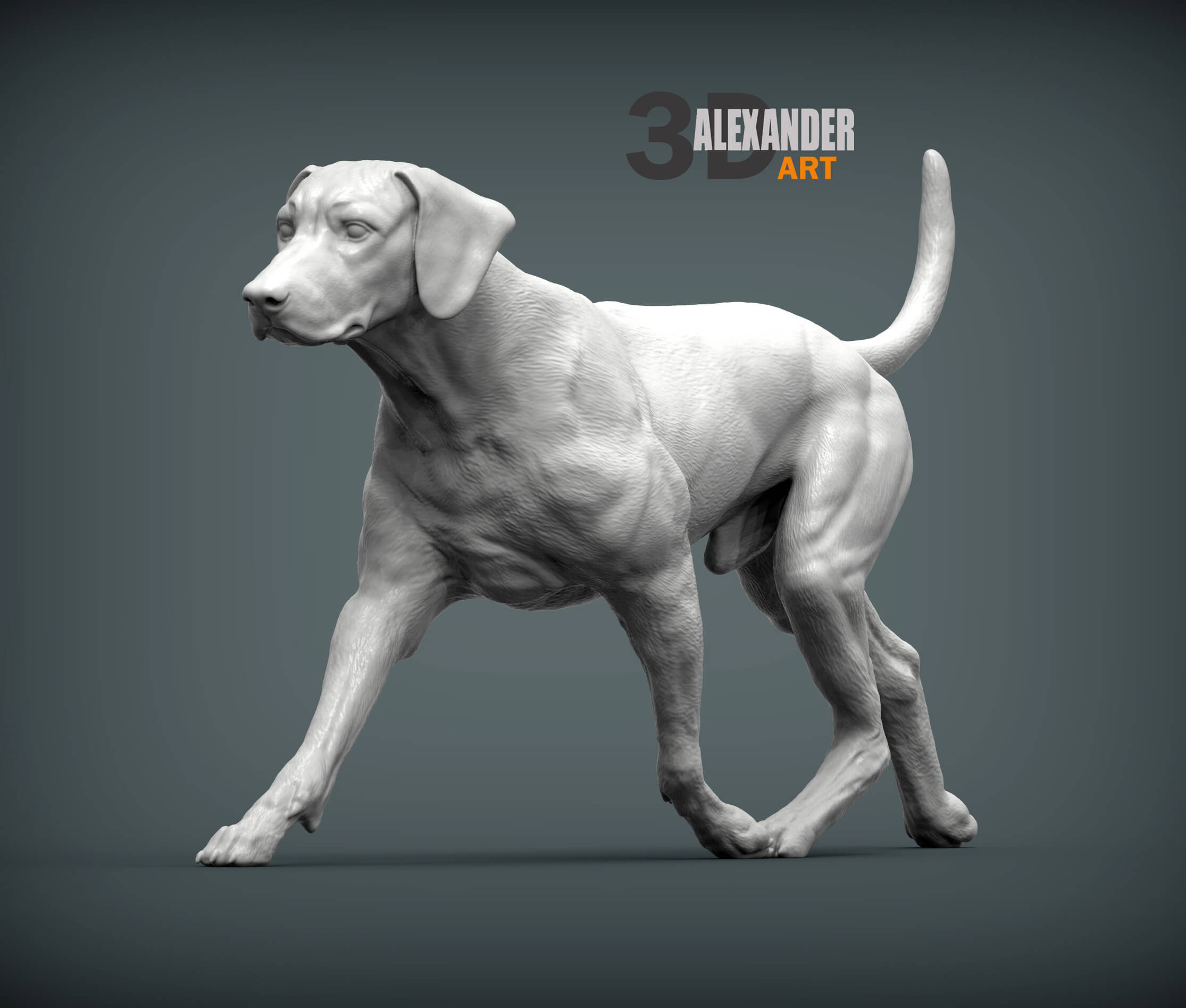 Rhodesian Ridgeback Running - 3D Model by Alexander3dart