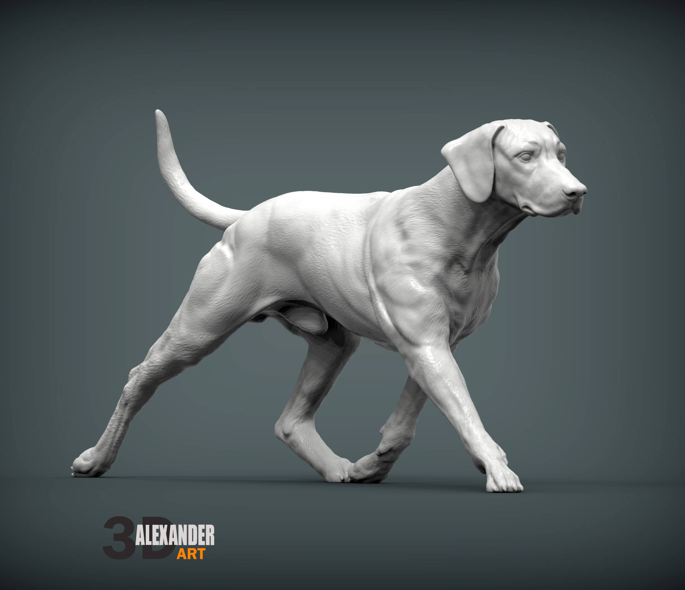 Rhodesian Ridgeback Running - 3D Model by Alexander3dart
