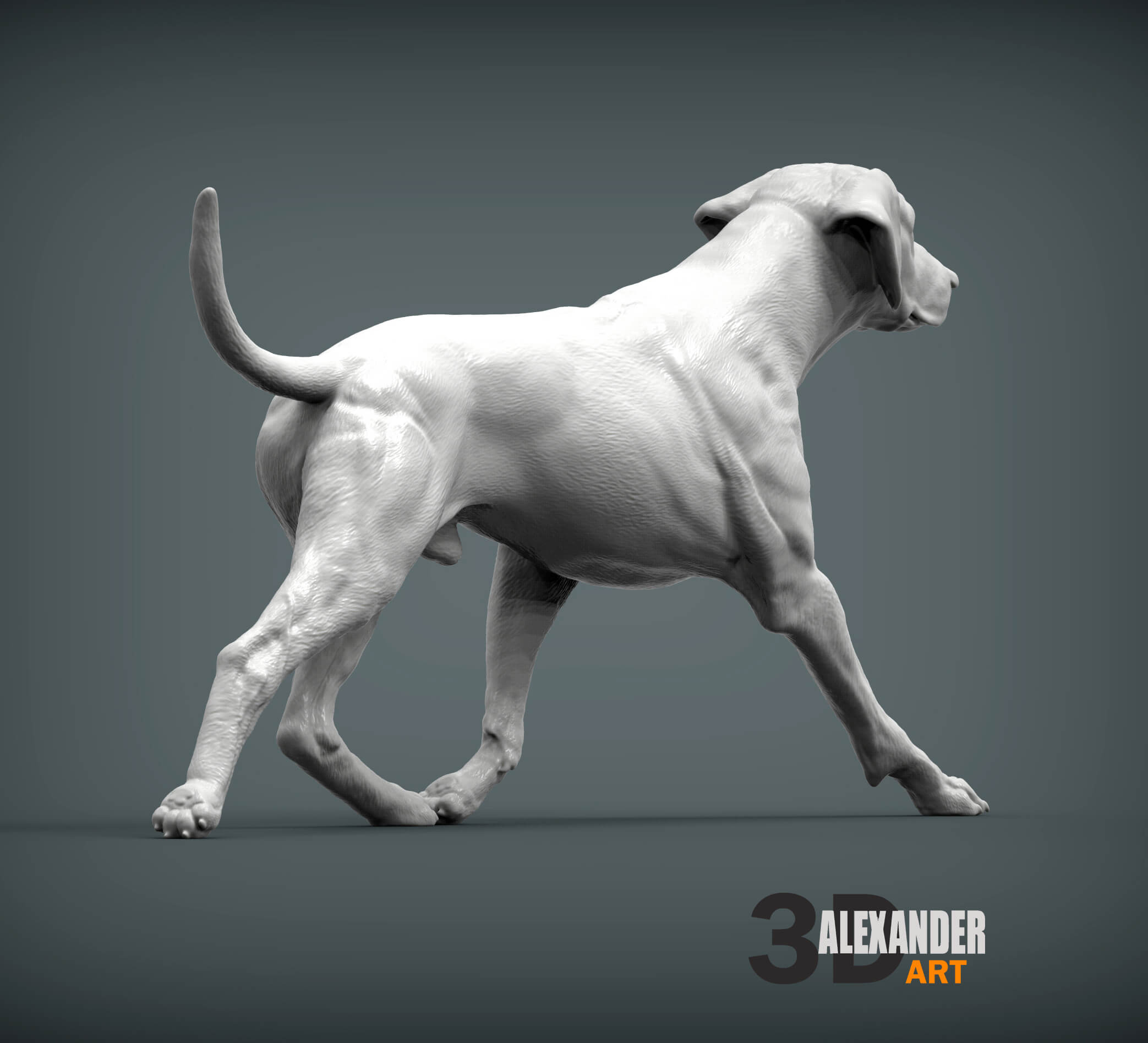Rhodesian Ridgeback Running - 3D Model by Alexander3dart