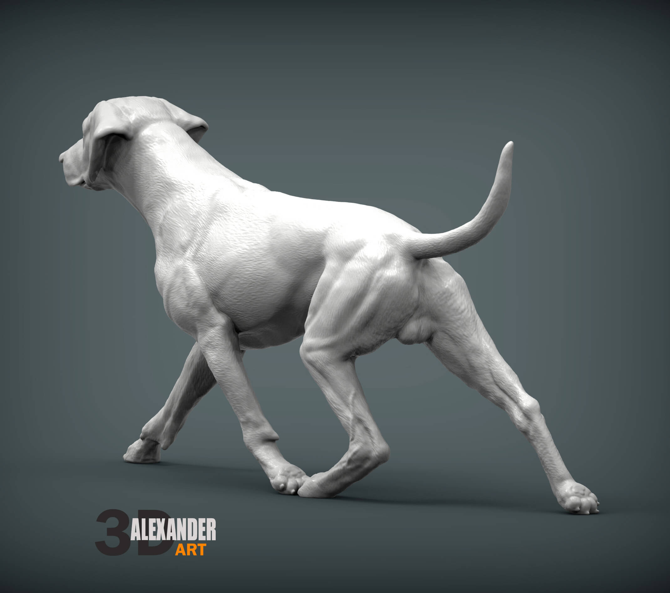 Rhodesian Ridgeback Running - 3D Model by Alexander3dart