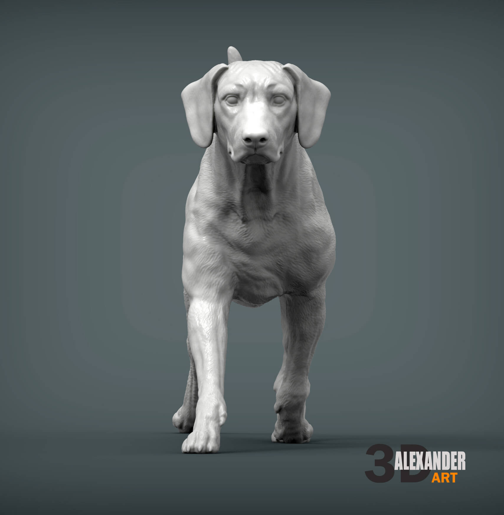 Rhodesian Ridgeback Running - 3D Model by Alexander3dart