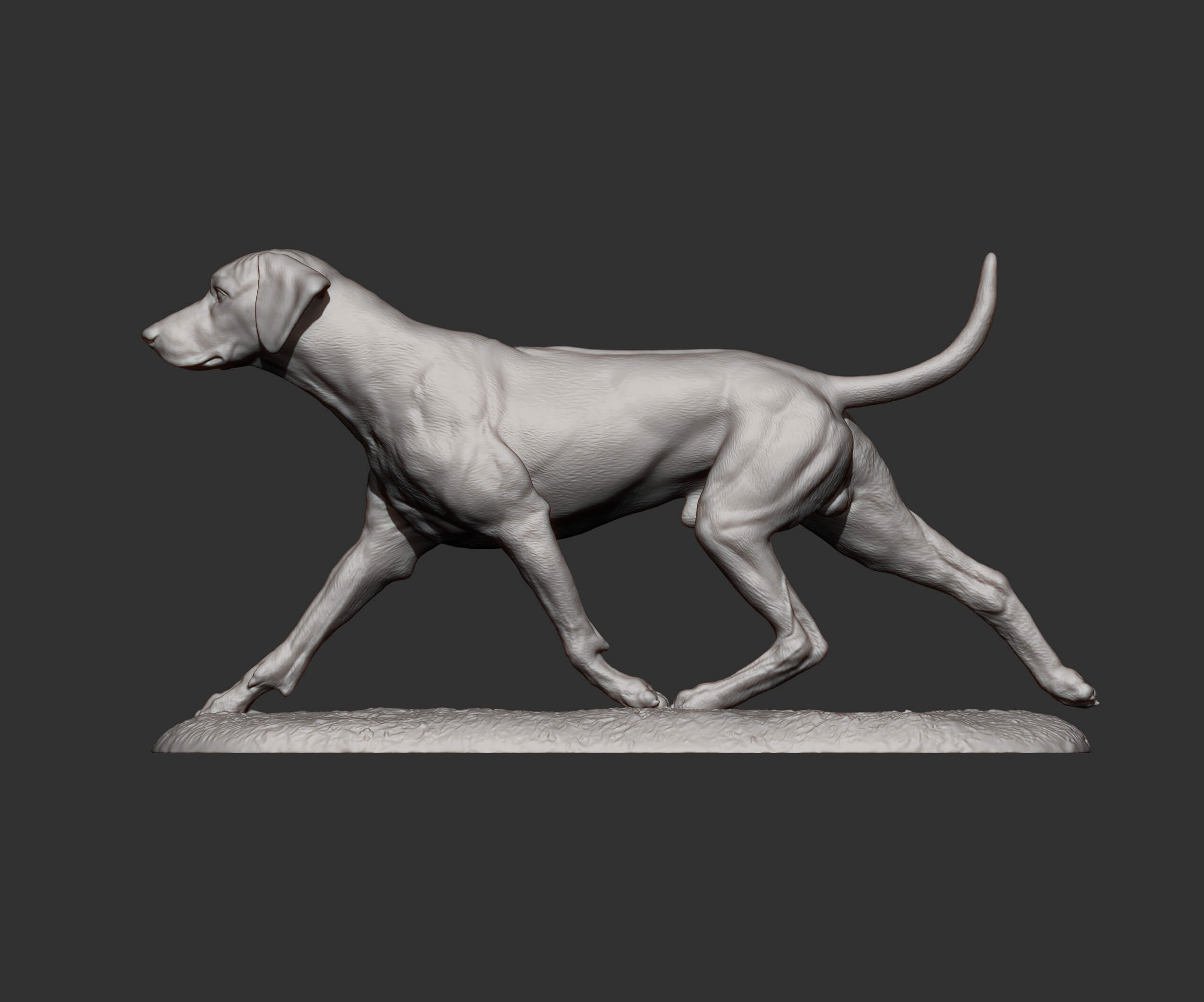 Rhodesian Ridgeback Running - 3D Model by Alexander3dart