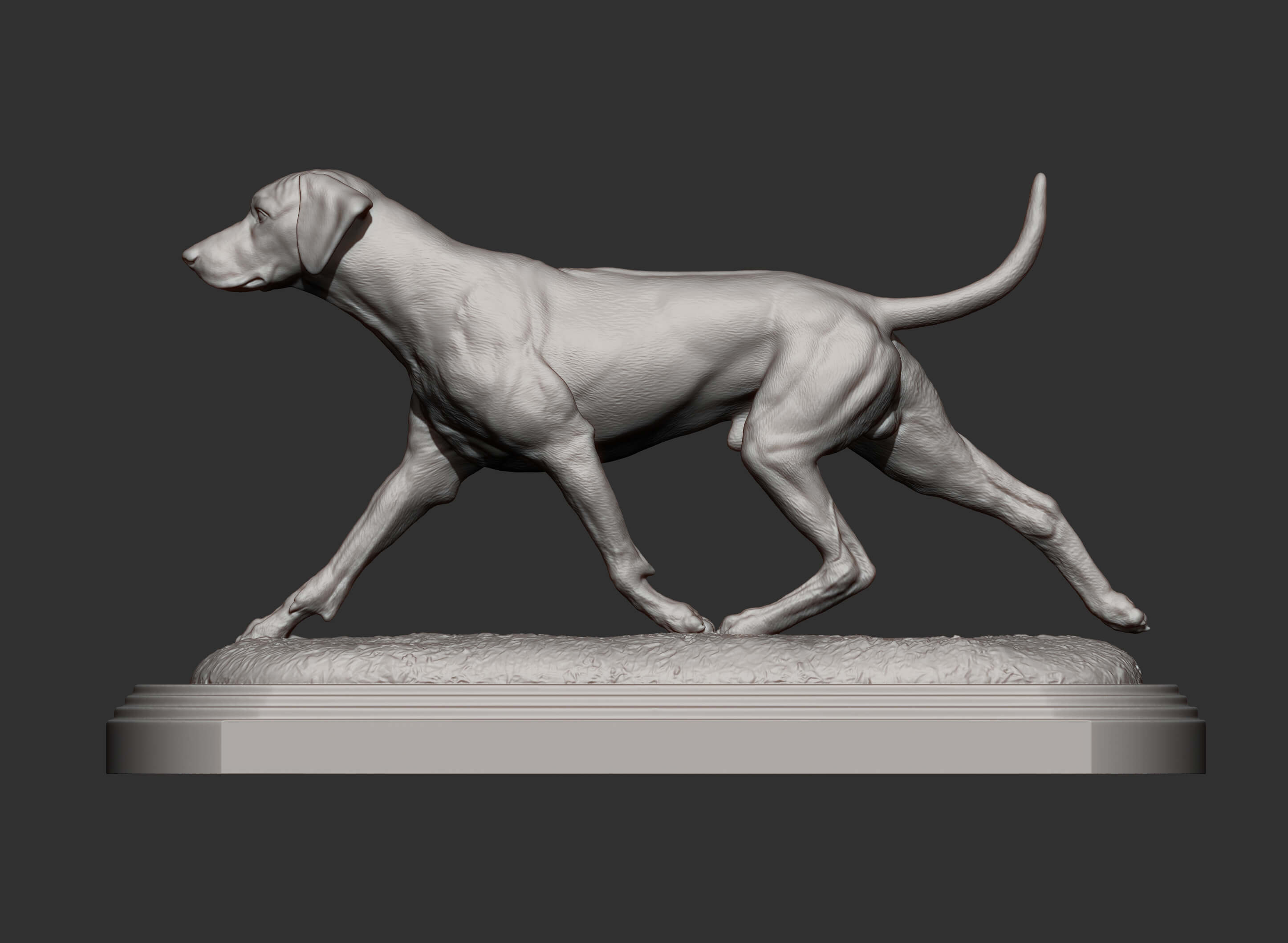 Rhodesian Ridgeback Running - 3D Model by Alexander3dart
