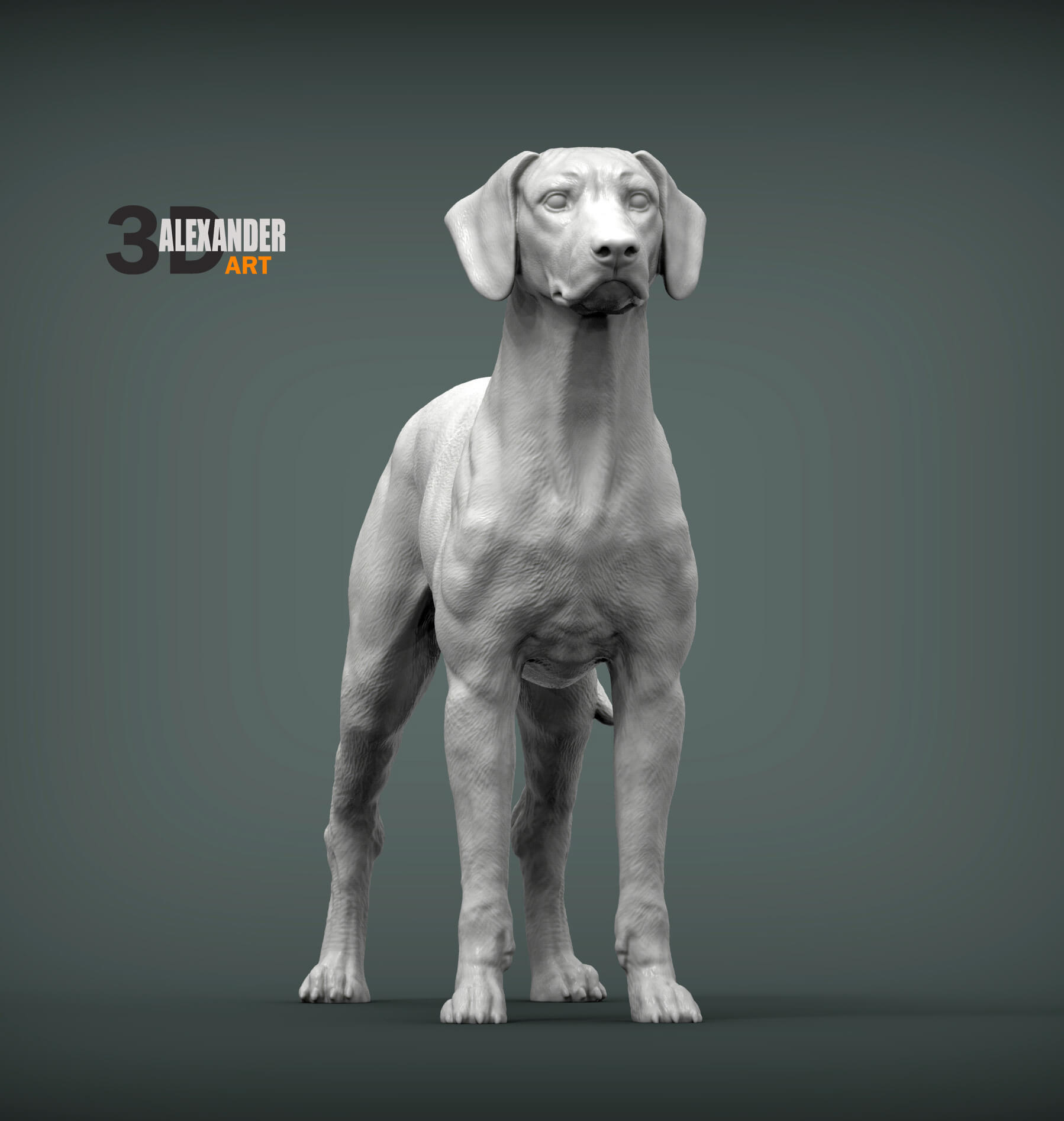 Rhodesian Ridgeback - 3D Model by Alexander3dart