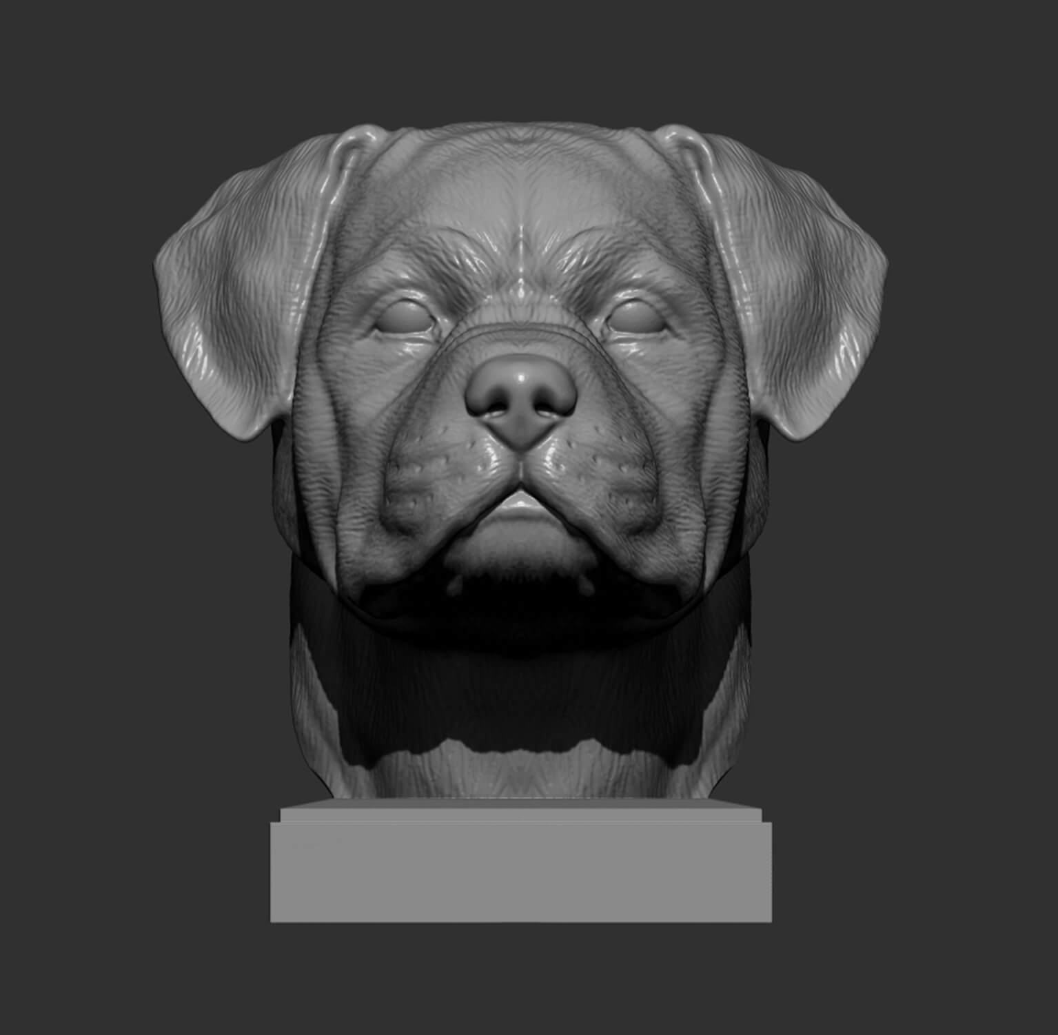Rottweiler 3D Print Model by Alexander3dart