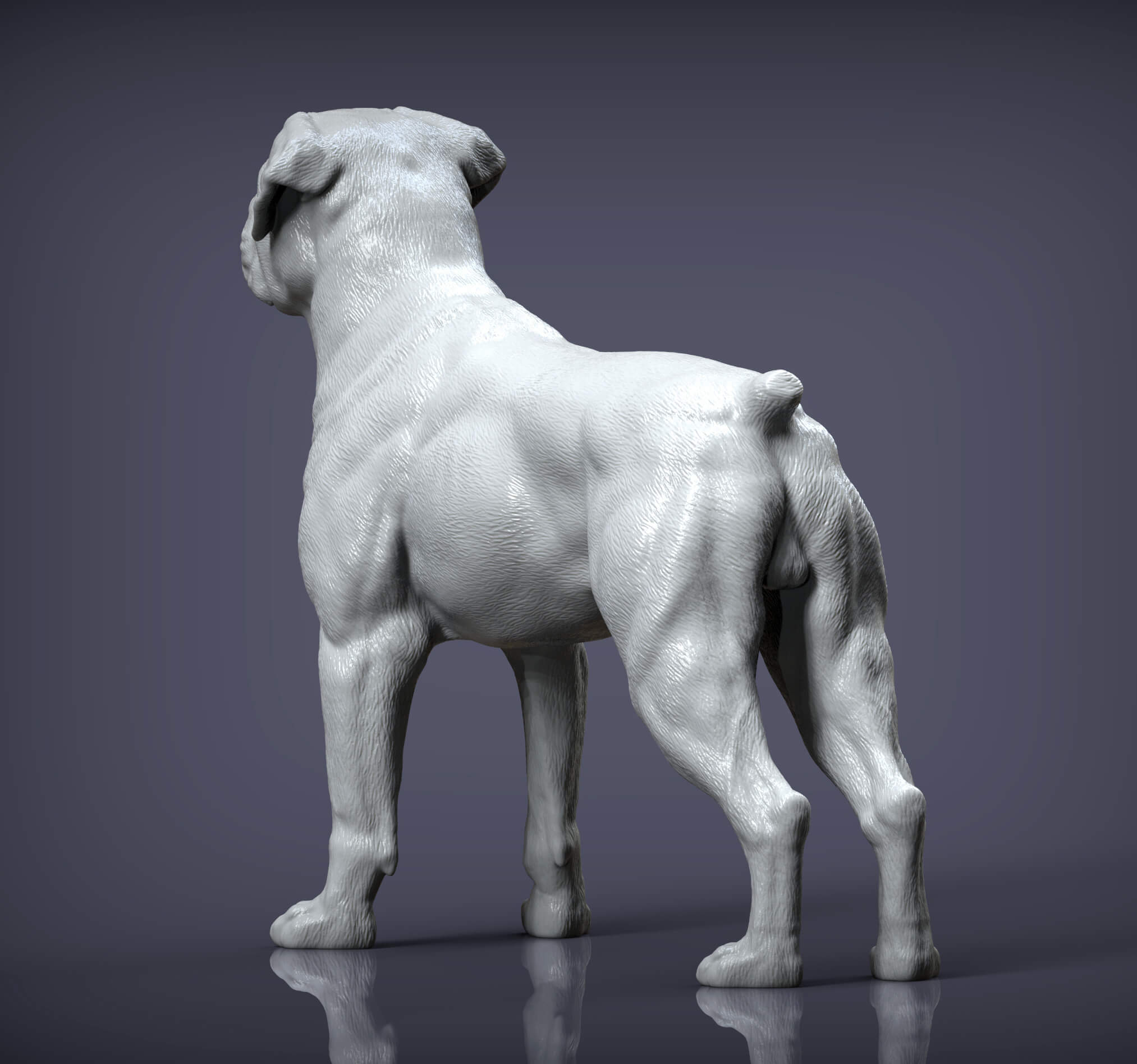 Rottweiler Boxer Dog 3D Print Model by Alexander3dart