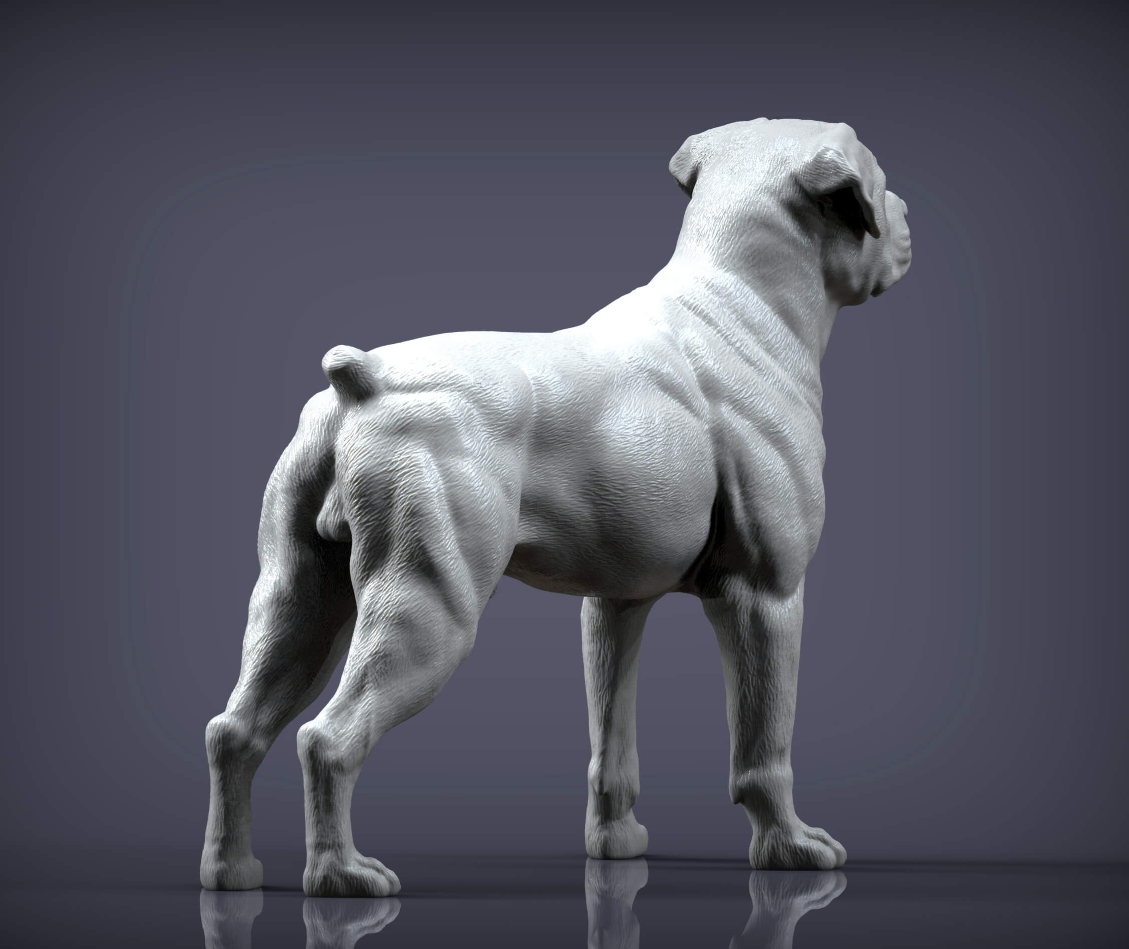 Rottweiler Boxer Dog 3D Print Model by Alexander3dart