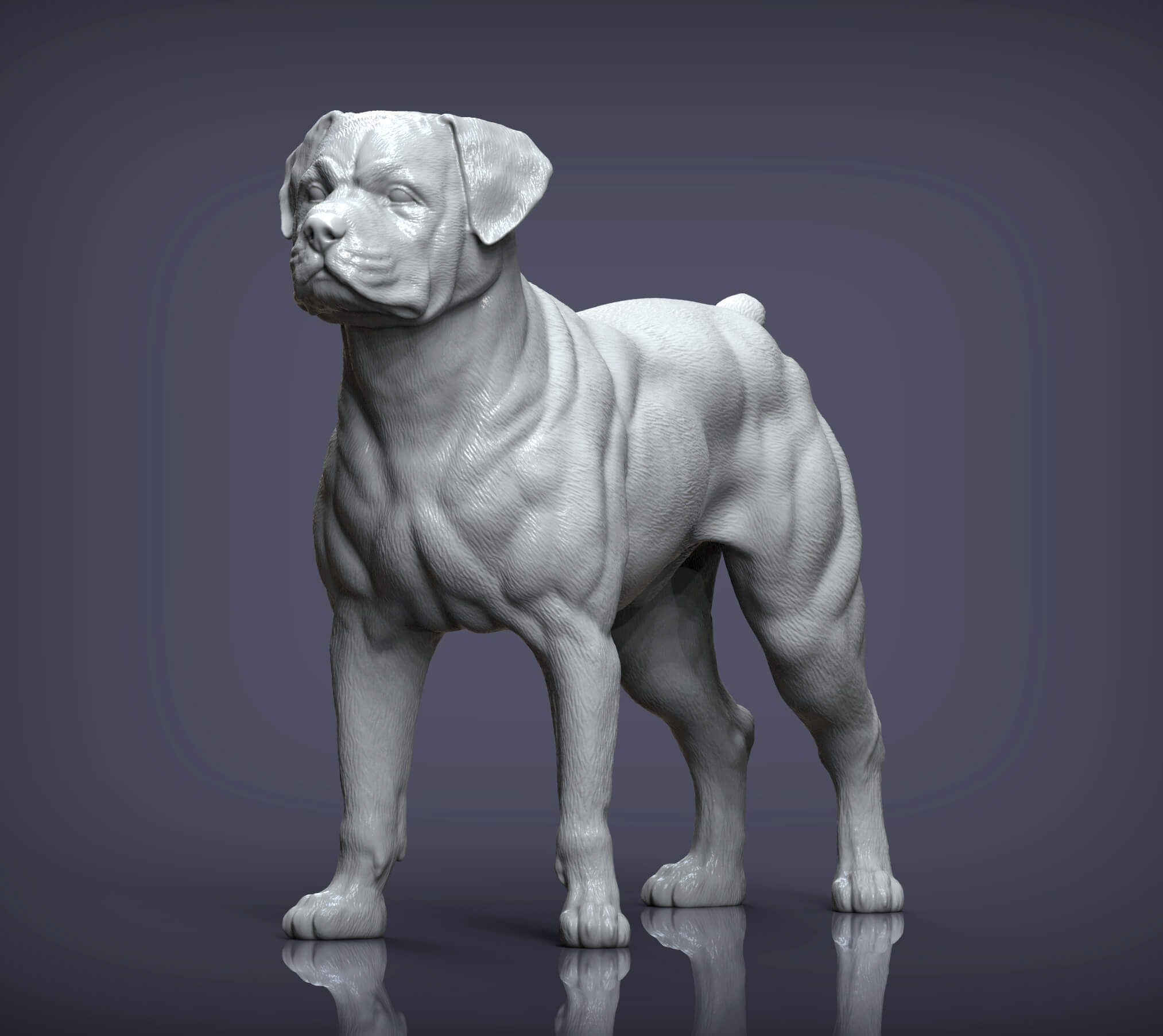 Rottweiler Boxer Dog 3D Print Model by Alexander3dart