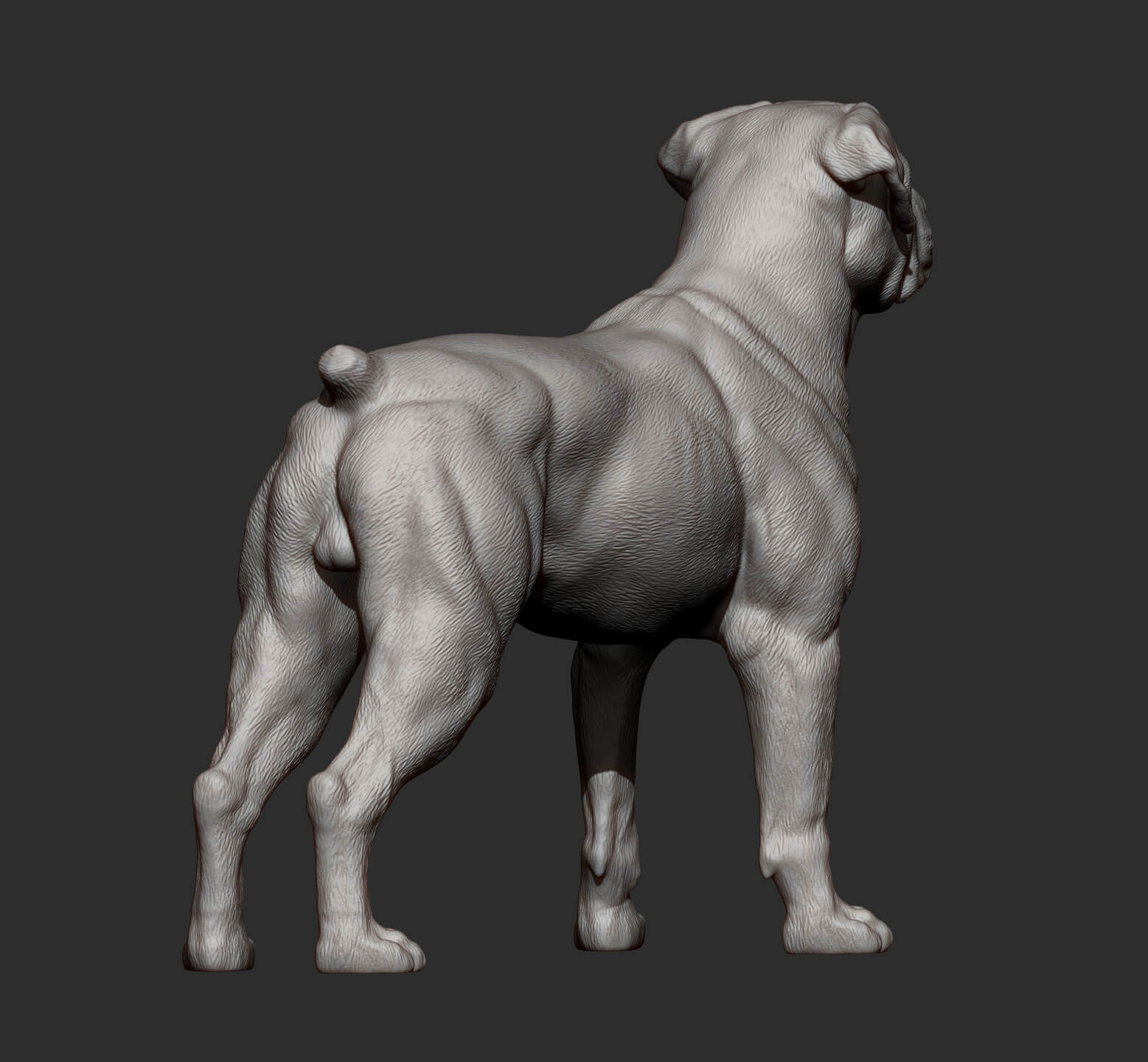 Rottweiler Boxer Dog 3D Print Model by Alexander3dart