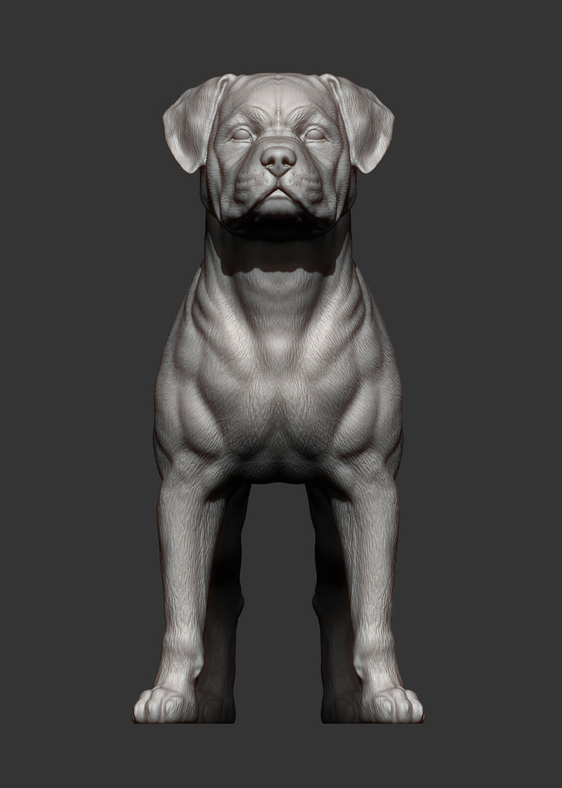Rottweiler Boxer Dog 3D Print Model by Alexander3dart